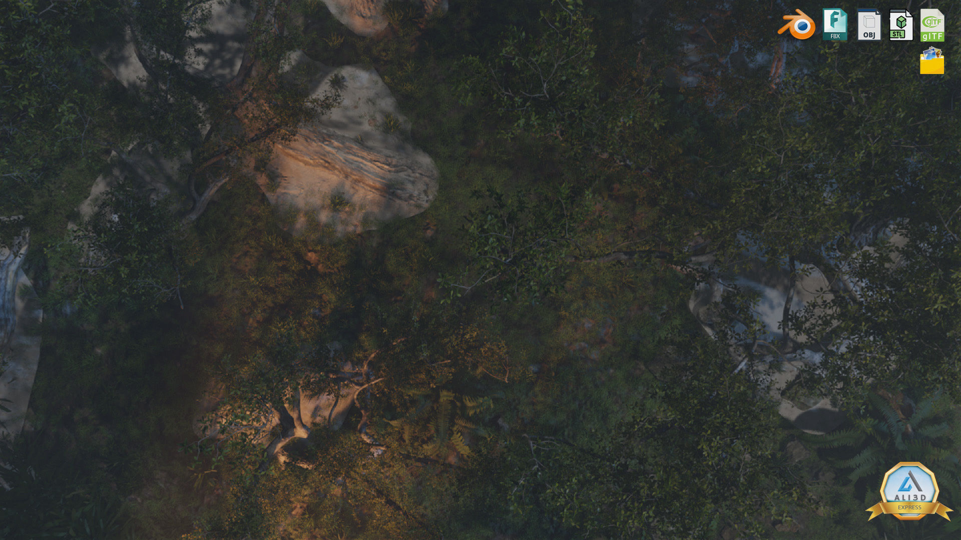 Foggy Detailed 3D Jungle Forest 3D model | CGTrader