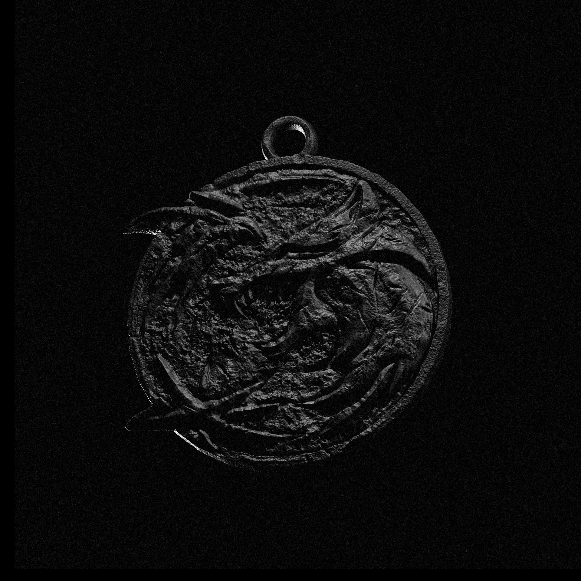 The Witcher Medallion Gwynbleidd Zireael The Obsidian Star free 3D ...