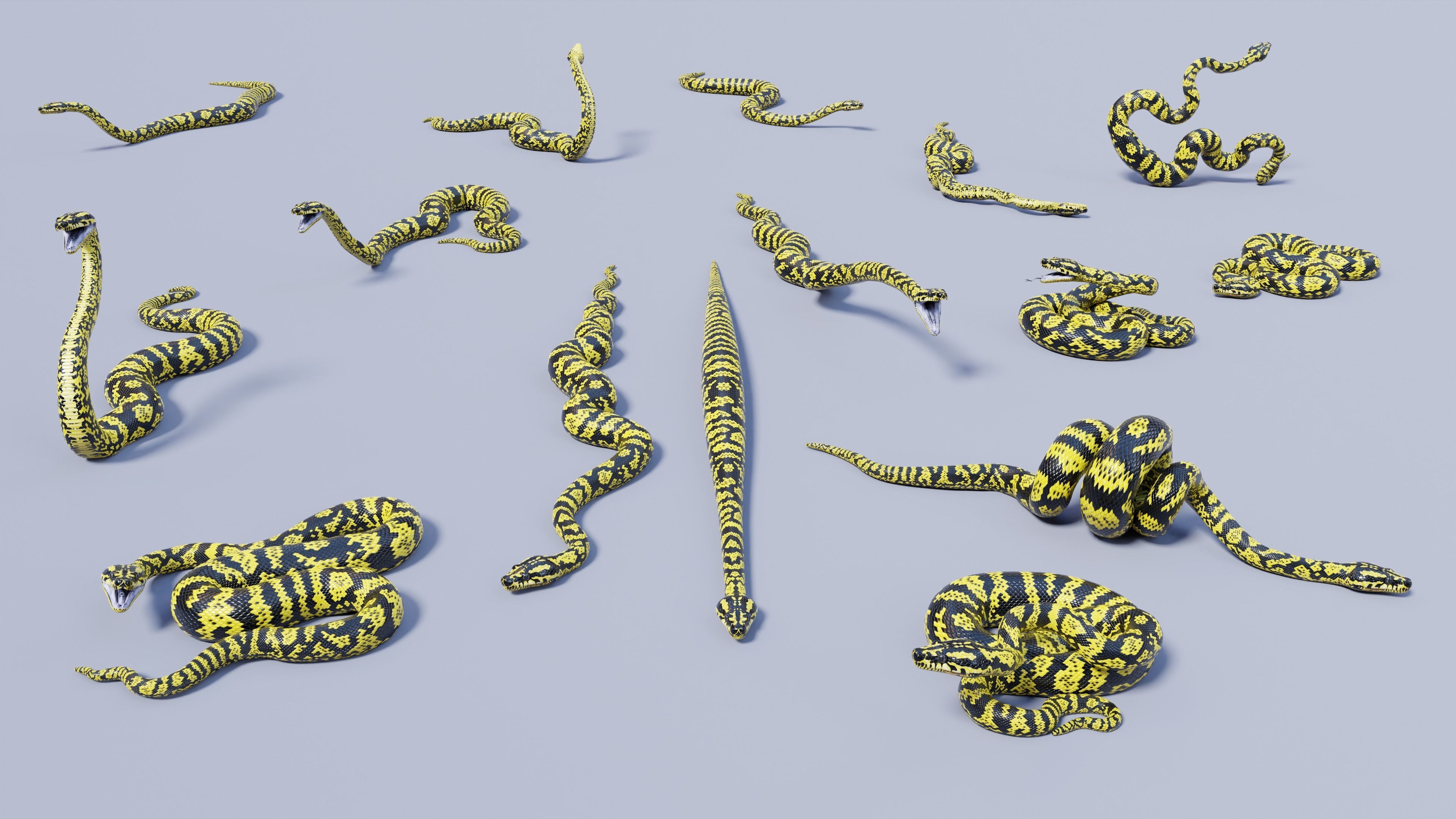 3D model Zebra Jungle Carpet Python - Static Poses VR / AR / low-poly ...