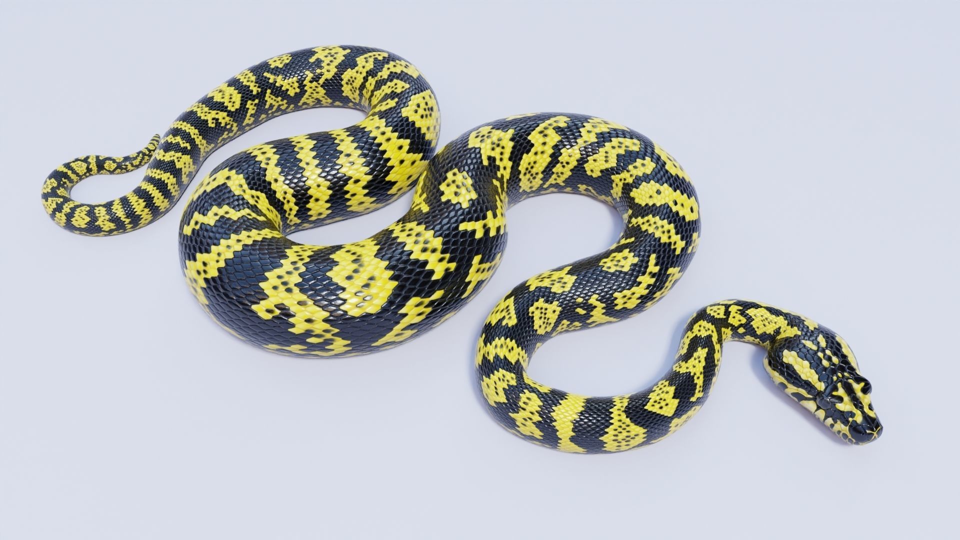 3D model Zebra Jungle Carpet Python - Static Poses VR / AR / low-poly ...