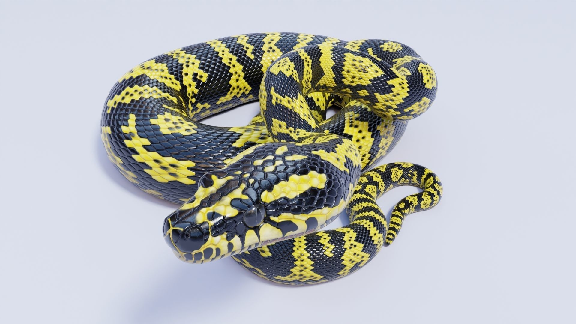 3D model Zebra Jungle Carpet Python - Static Poses VR / AR / low-poly ...