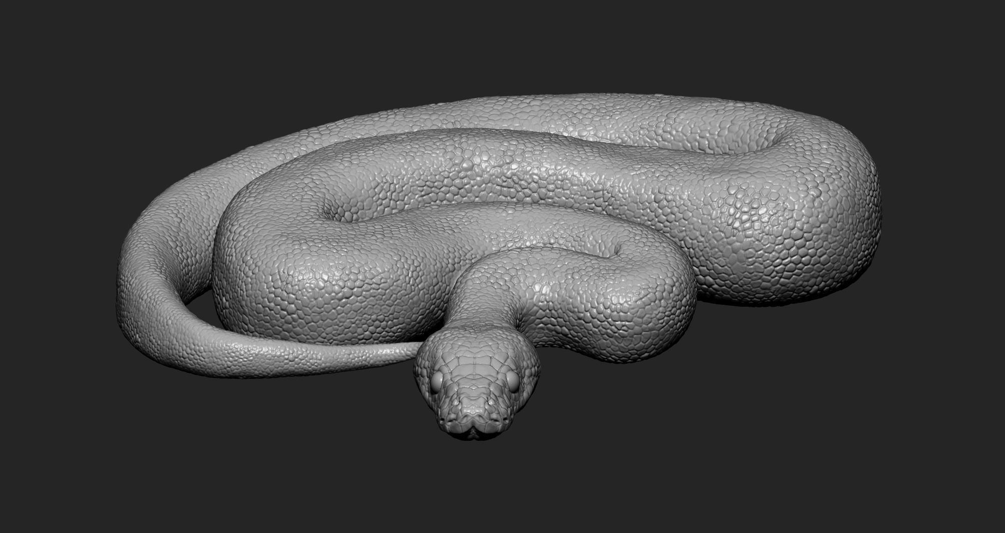 Ball Pythons 3D model 3D printable | CGTrader
