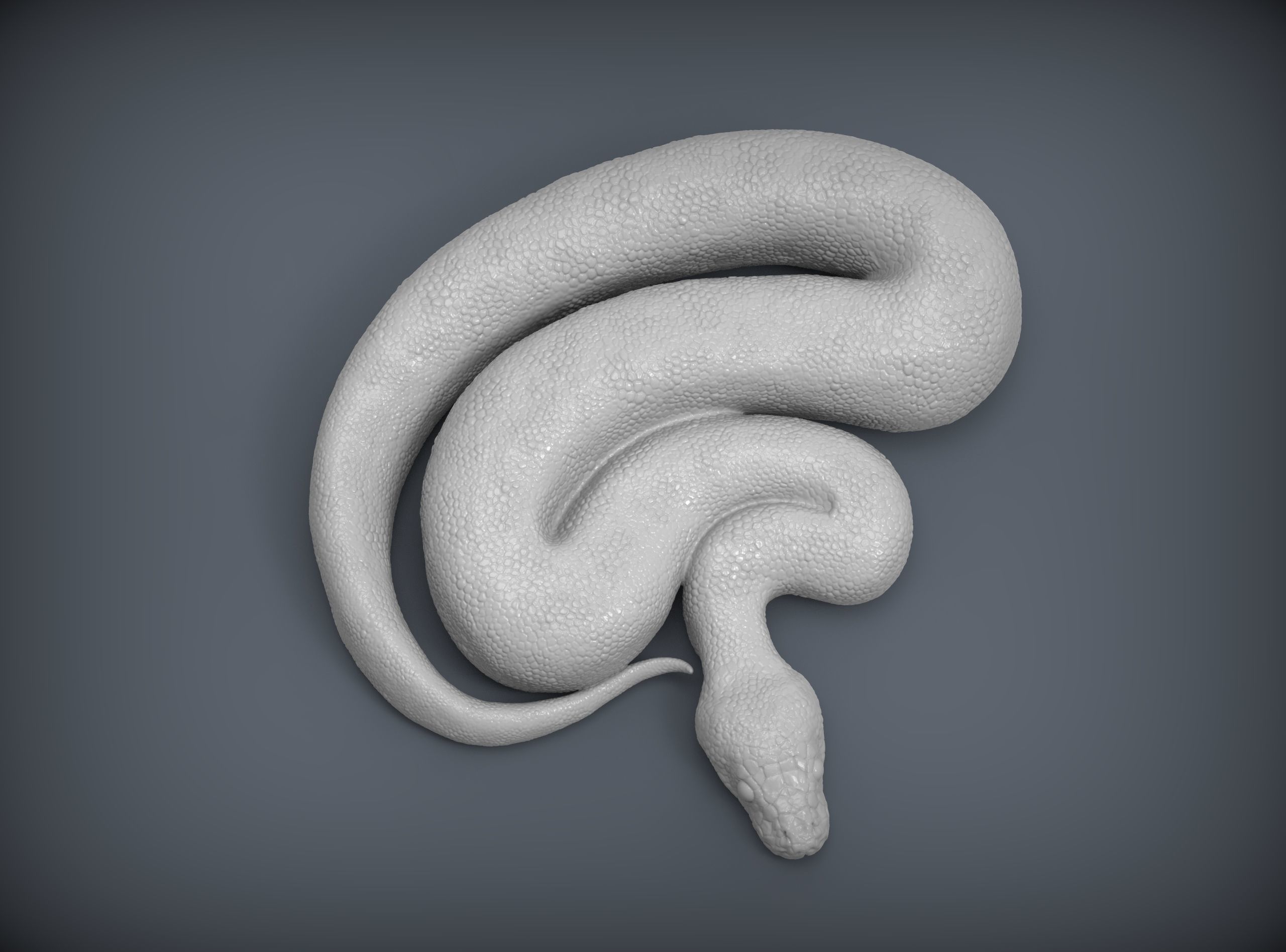 Ball Pythons 3D model 3D printable | CGTrader