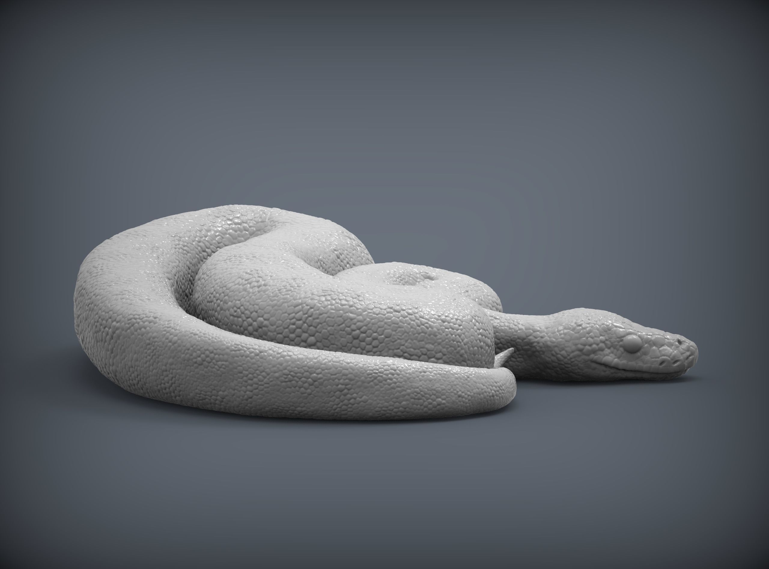 Ball Pythons 3D model 3D printable | CGTrader
