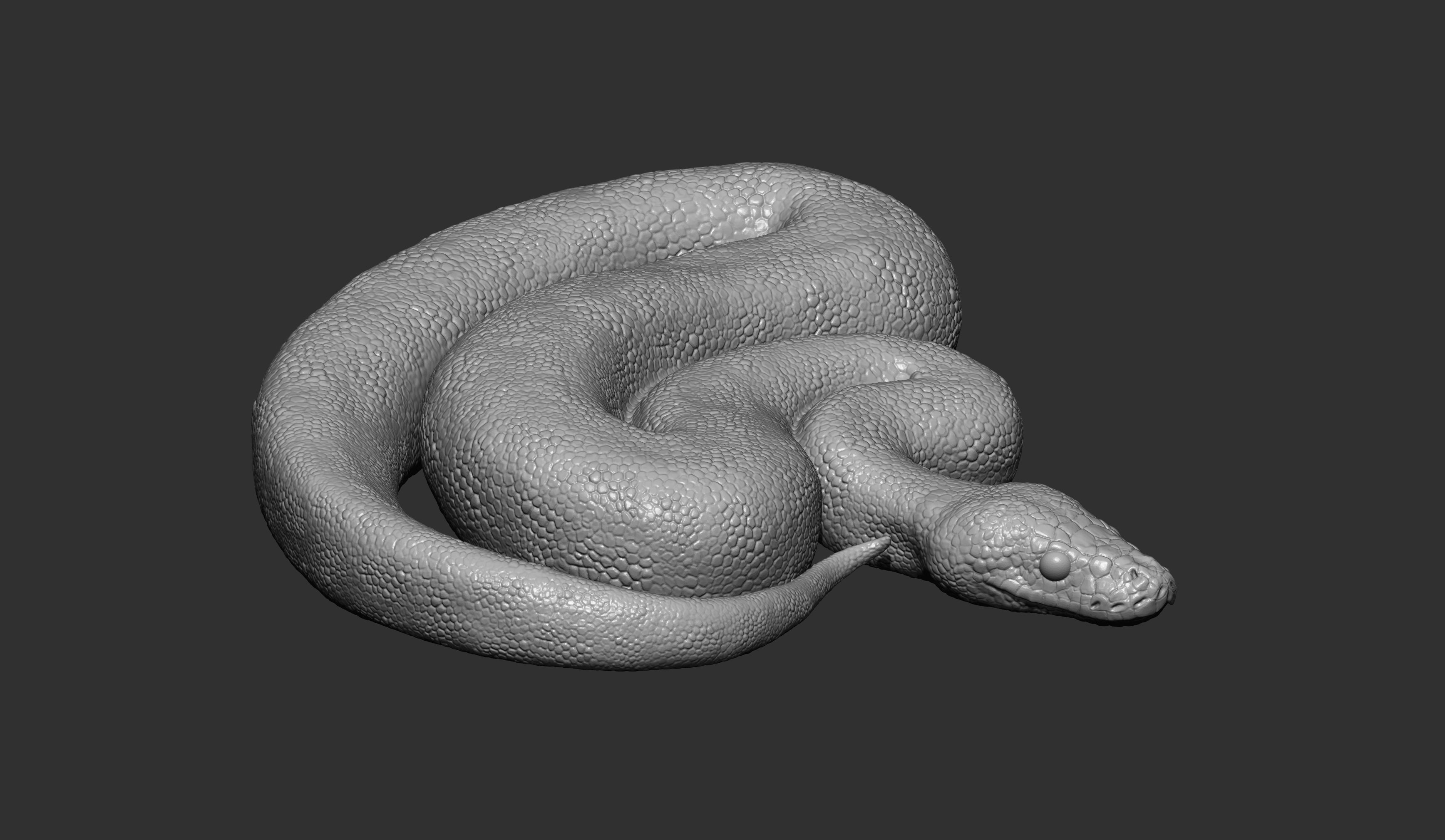 Ball Pythons 3D model 3D printable | CGTrader