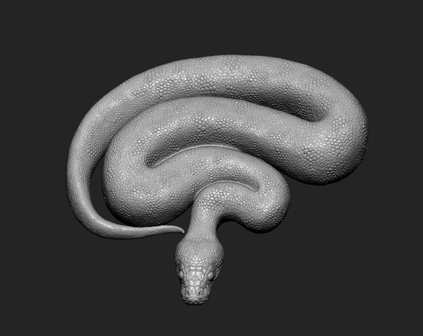 Ball Pythons 3D model 3D printable | CGTrader