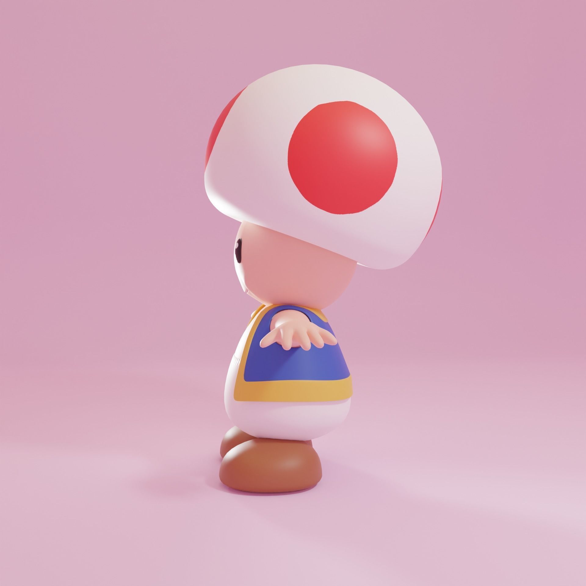 Toad From Super Mario 3D model rigged | CGTrader