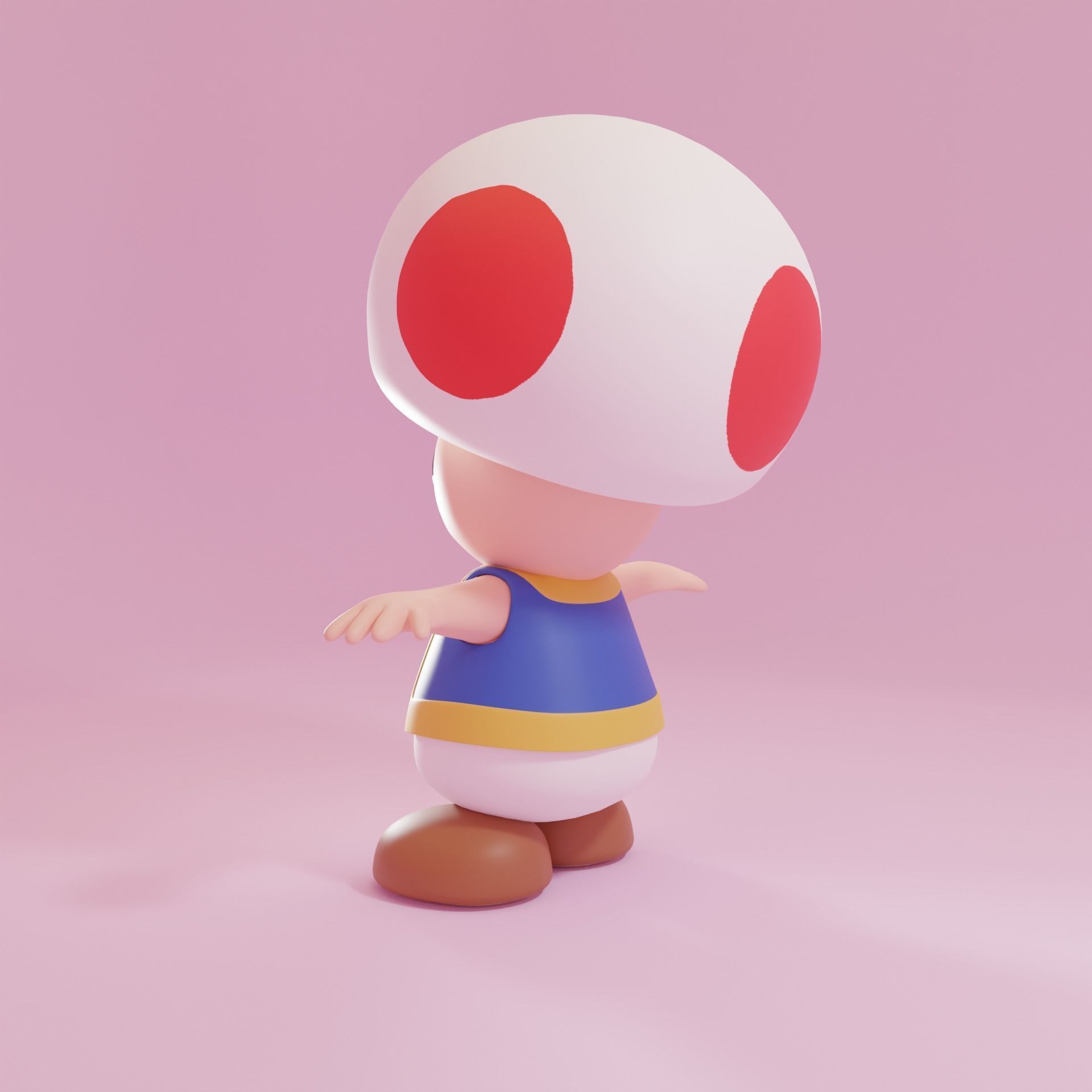 Toad From Super Mario 3D model rigged | CGTrader