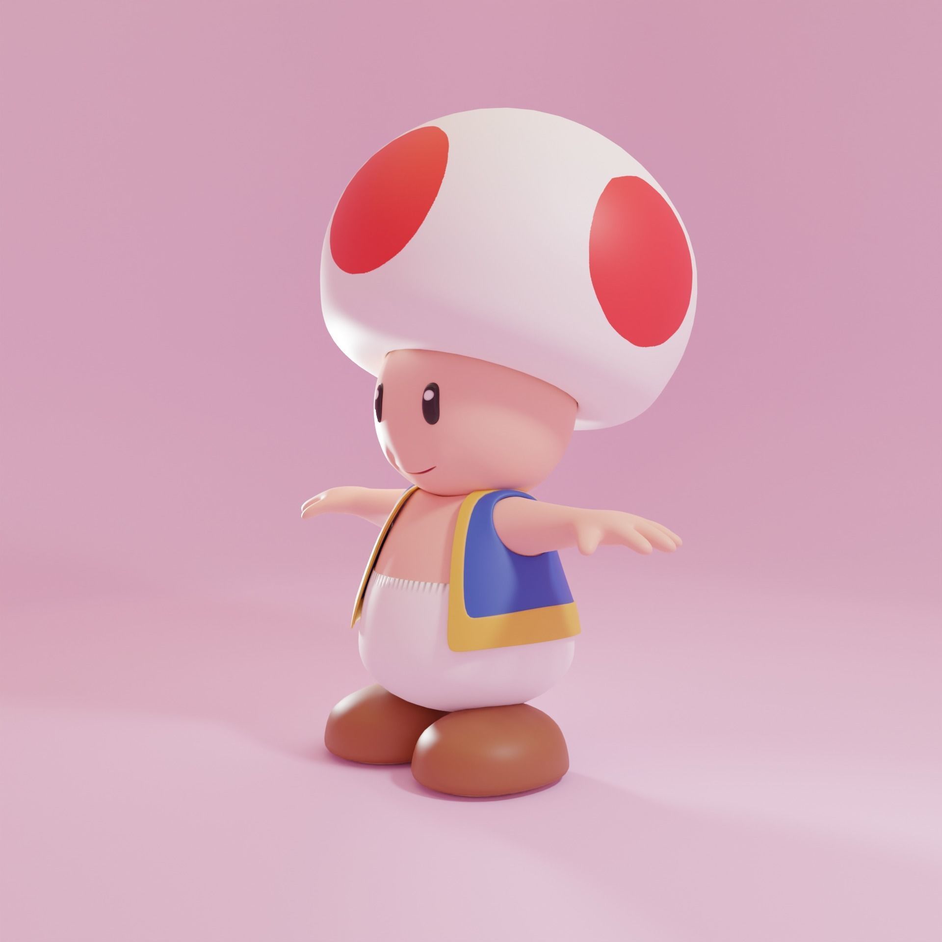 Toad From Super Mario 3D model rigged | CGTrader