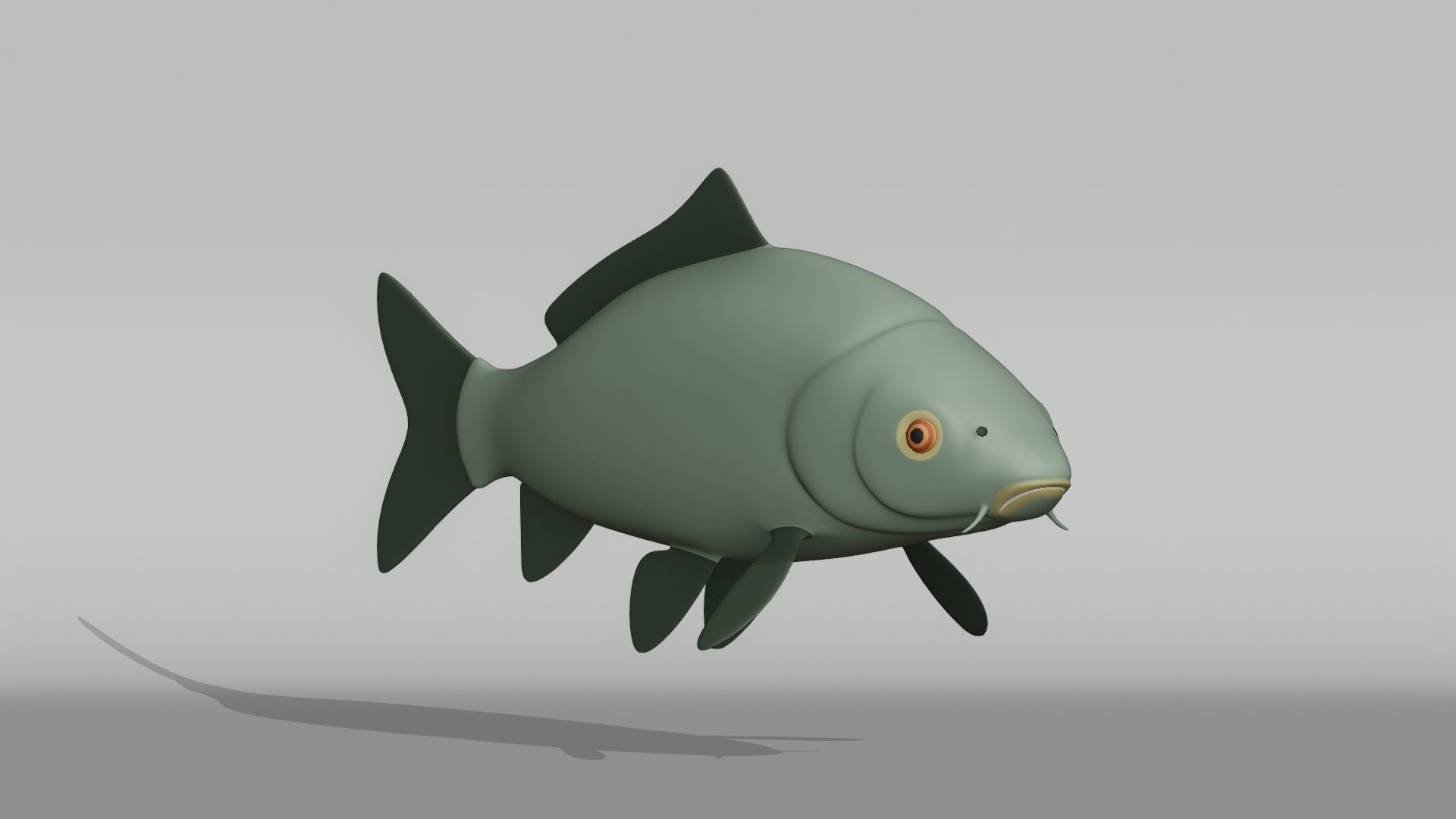 3D model Carp Fish Base Mesh VR / AR / low-poly | CGTrader