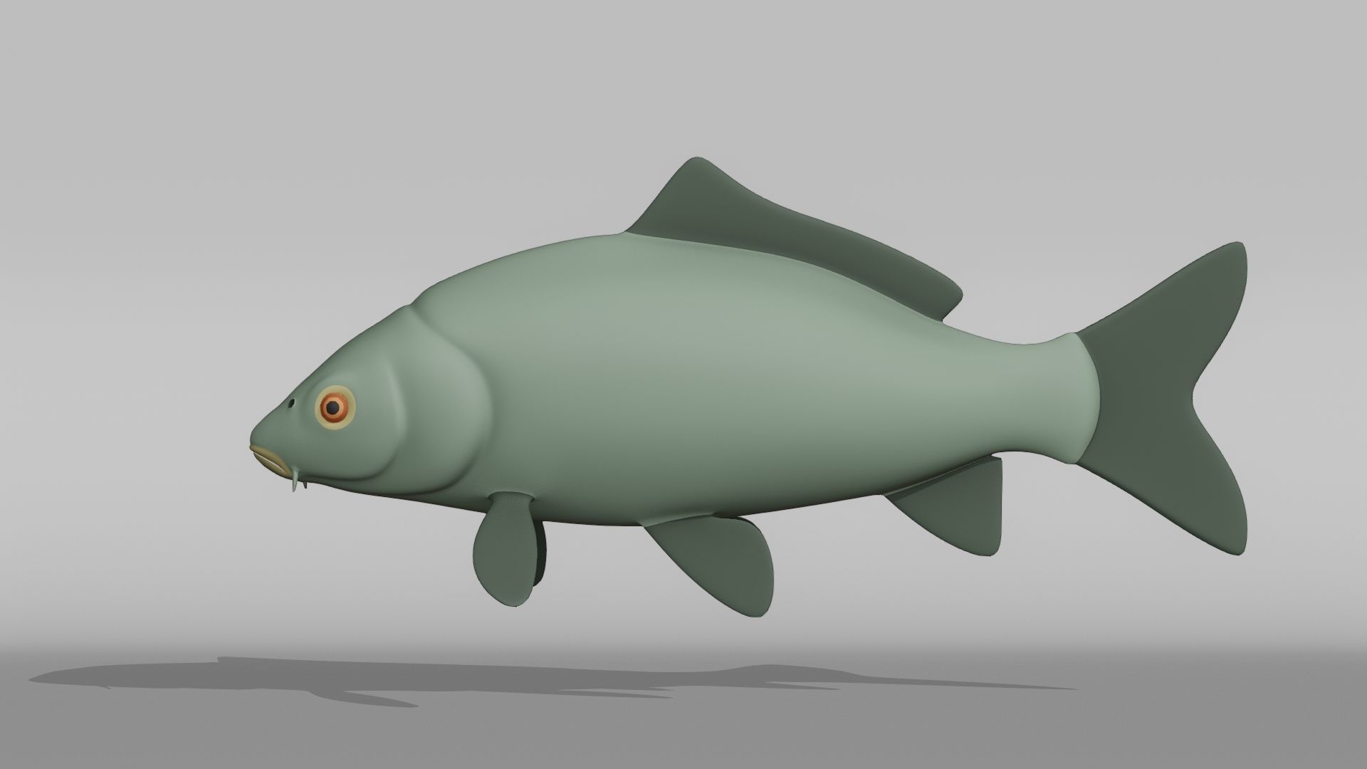 3D model Carp Fish Base Mesh VR / AR / low-poly | CGTrader