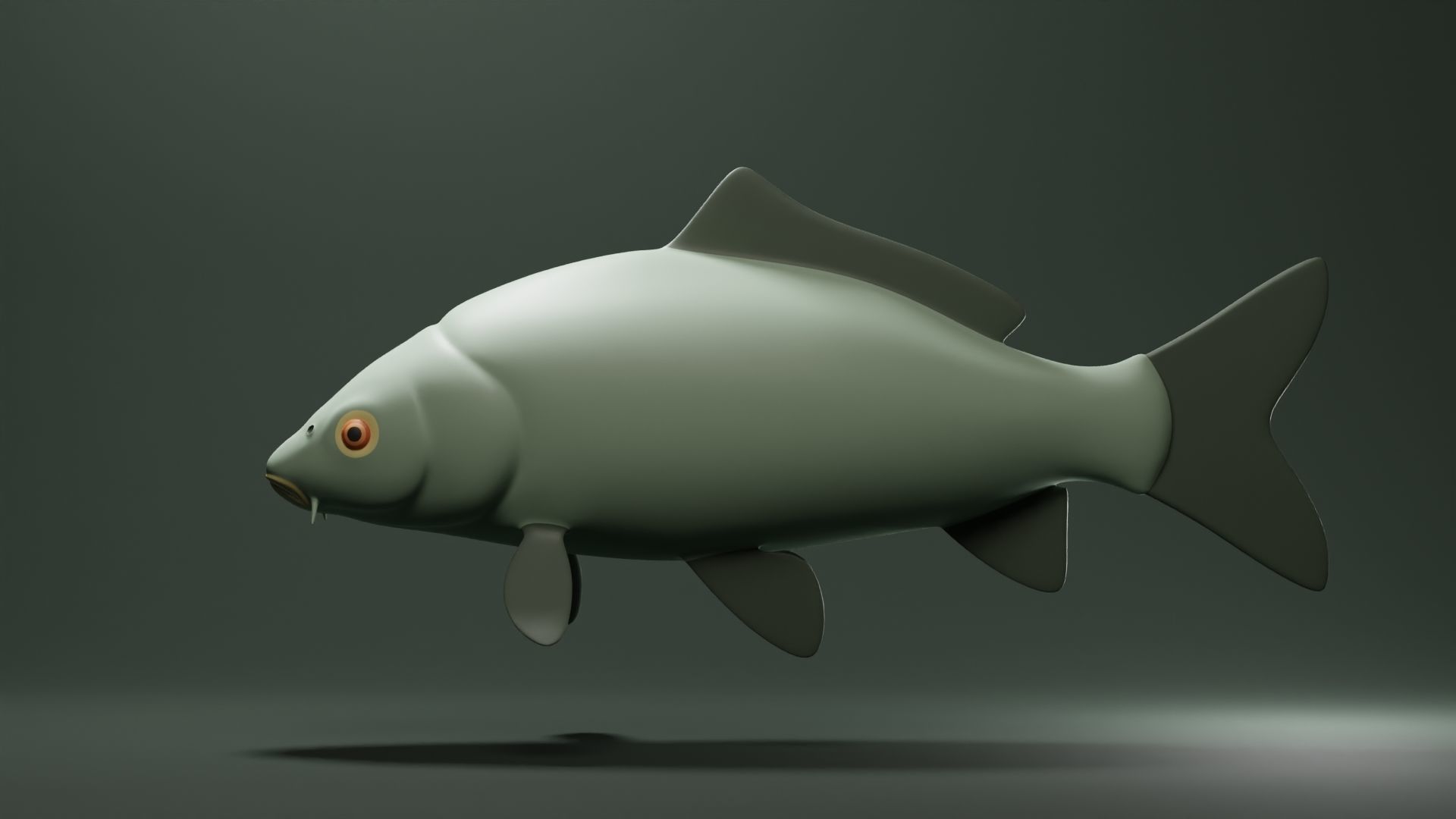3D model Carp Fish Base Mesh VR / AR / low-poly | CGTrader
