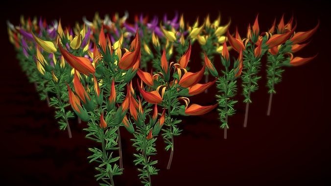 3D model Flower Lotus Berthelotii VR / AR / low-poly | CGTrader