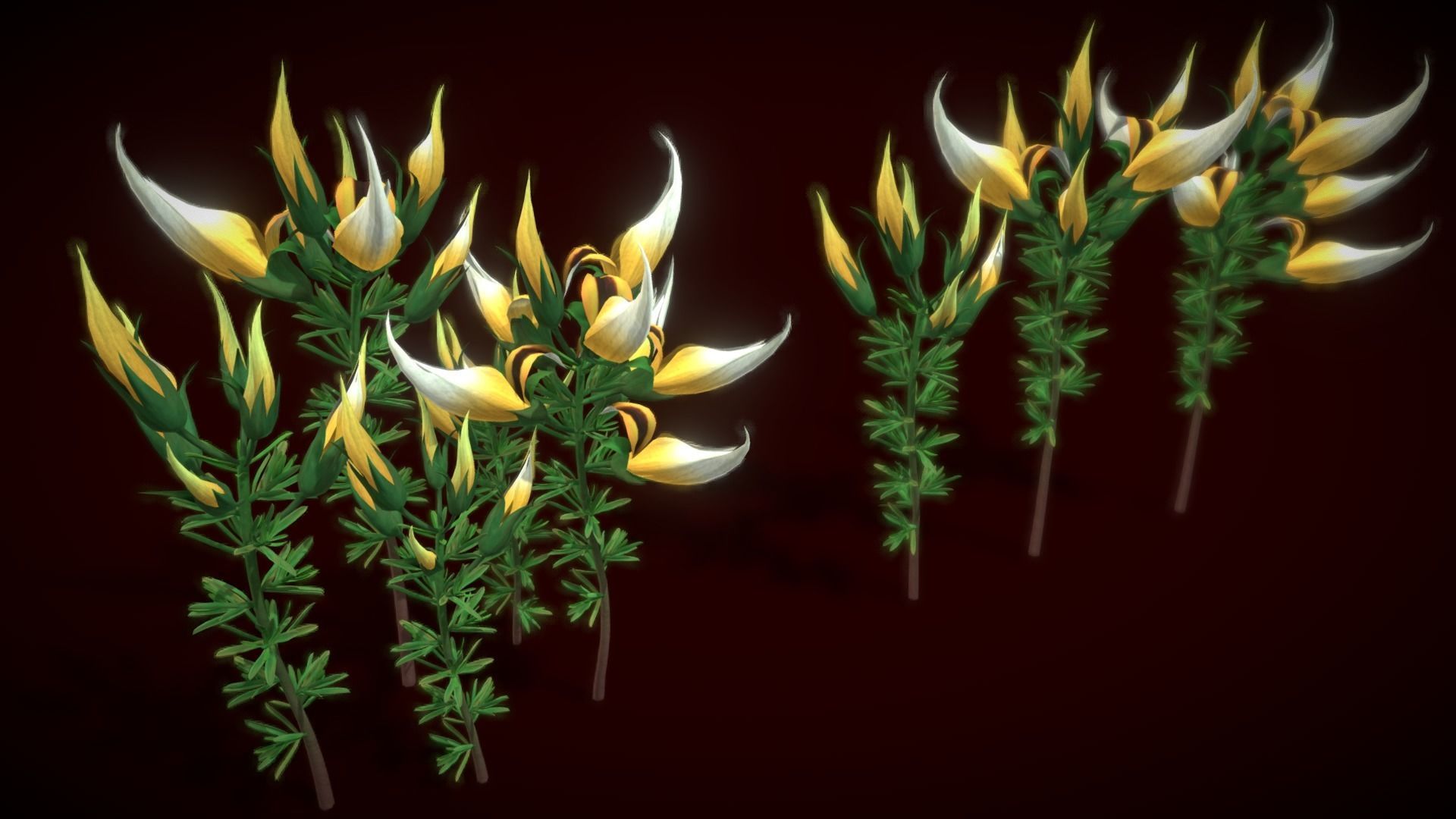 3D model Flower Lotus Berthelotii VR / AR / low-poly | CGTrader