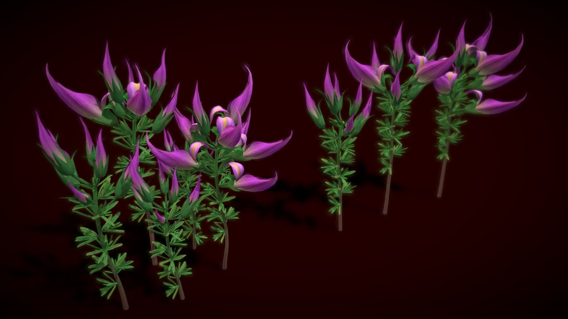 3D model Flower Lotus Berthelotii VR / AR / low-poly | CGTrader