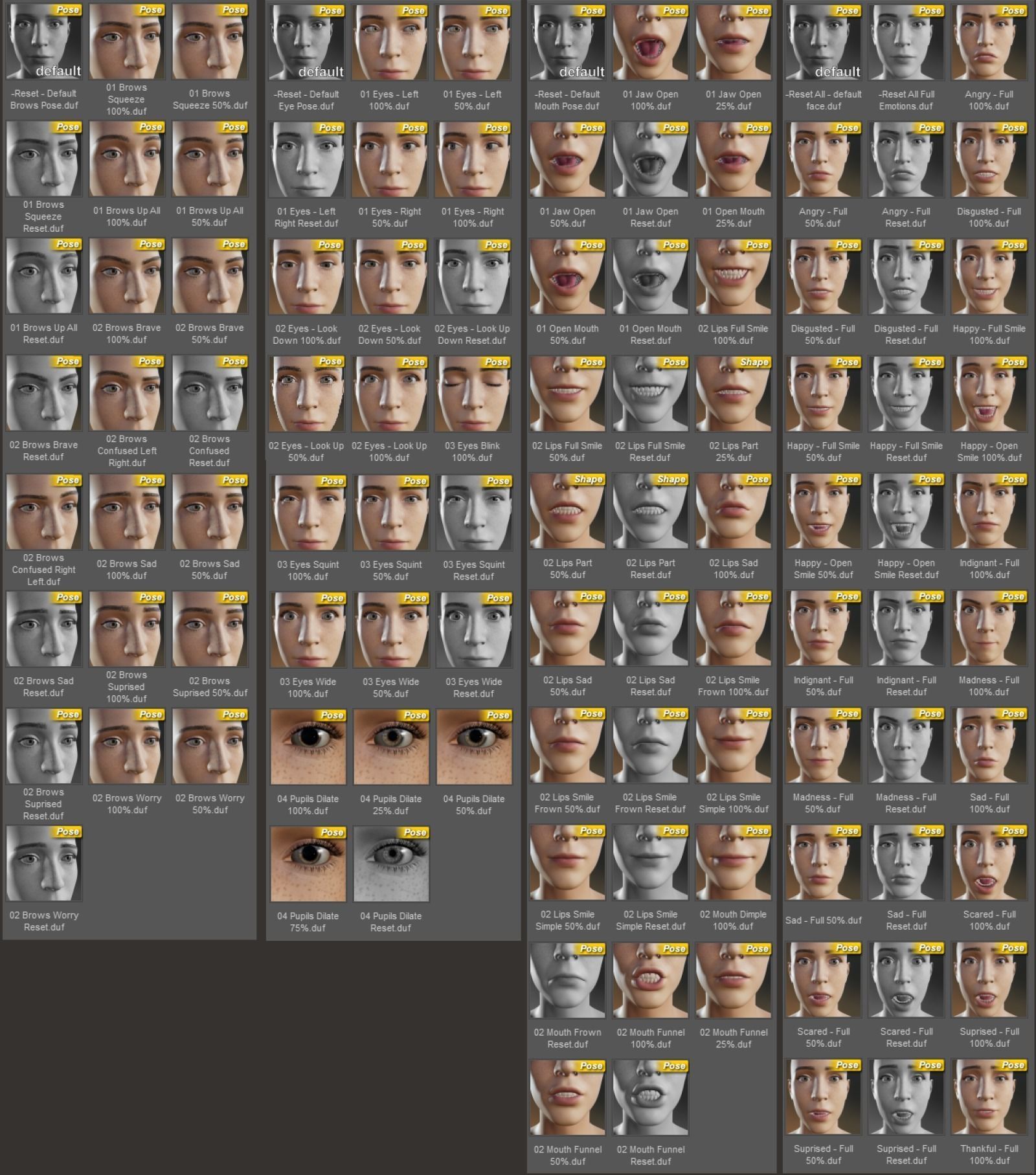 Expressions for Genesis 9 3D model animated rigged | CGTrader