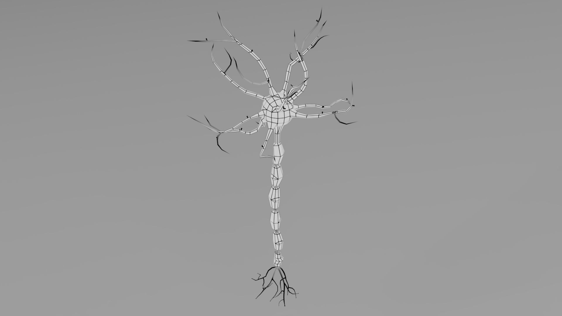 Neuron 3D model animated rigged | CGTrader