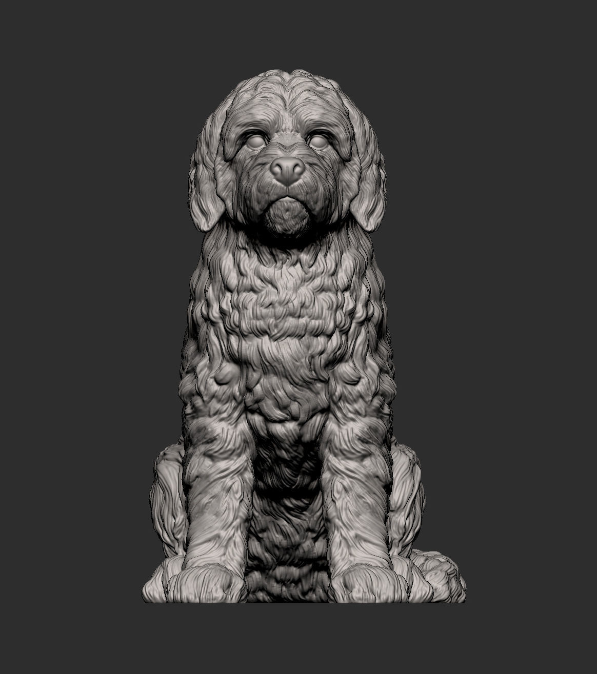 GoldenDoodle dog 3D model 3D printable | CGTrader