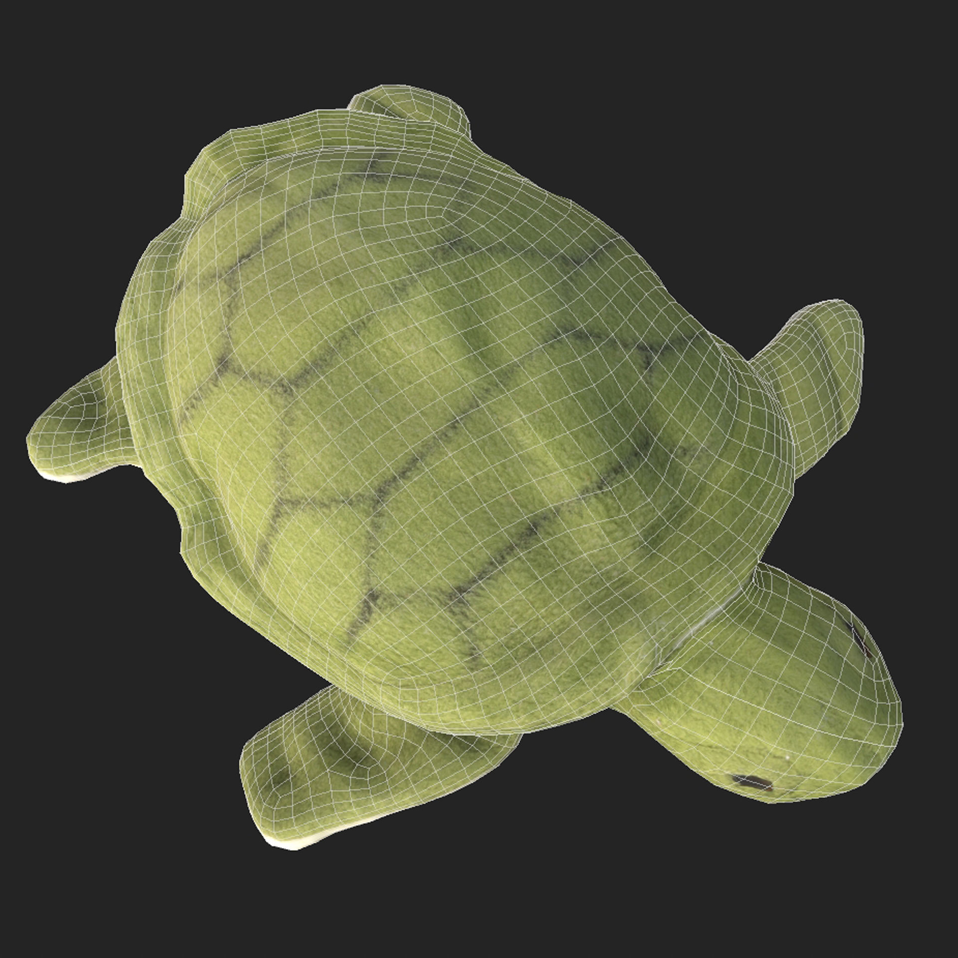 3D model Turtle soft toy VR / AR / low-poly | CGTrader