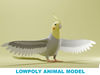 3D model Cockatiel Base Mesh VR / AR / low-poly | CGTrader