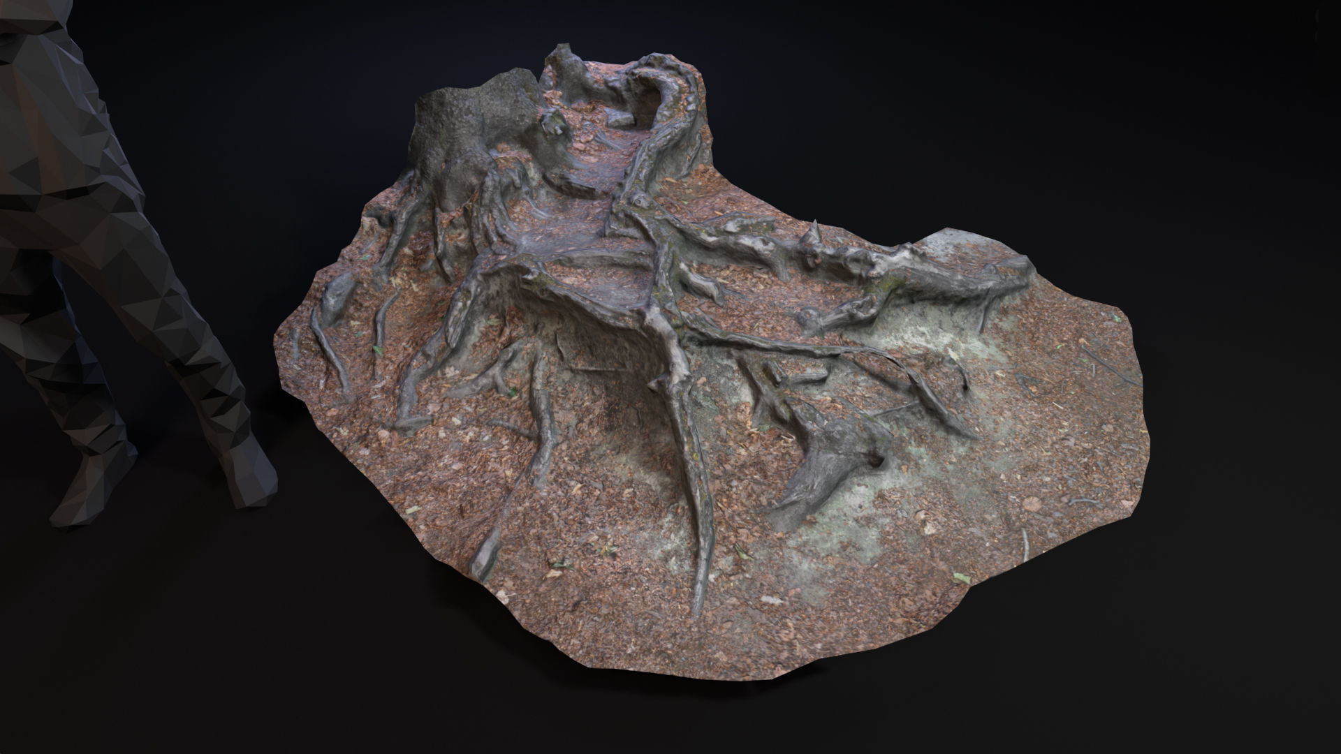 Beech forest ground - 3 of 6 - scan PBR Game ready free VR / AR / low ...