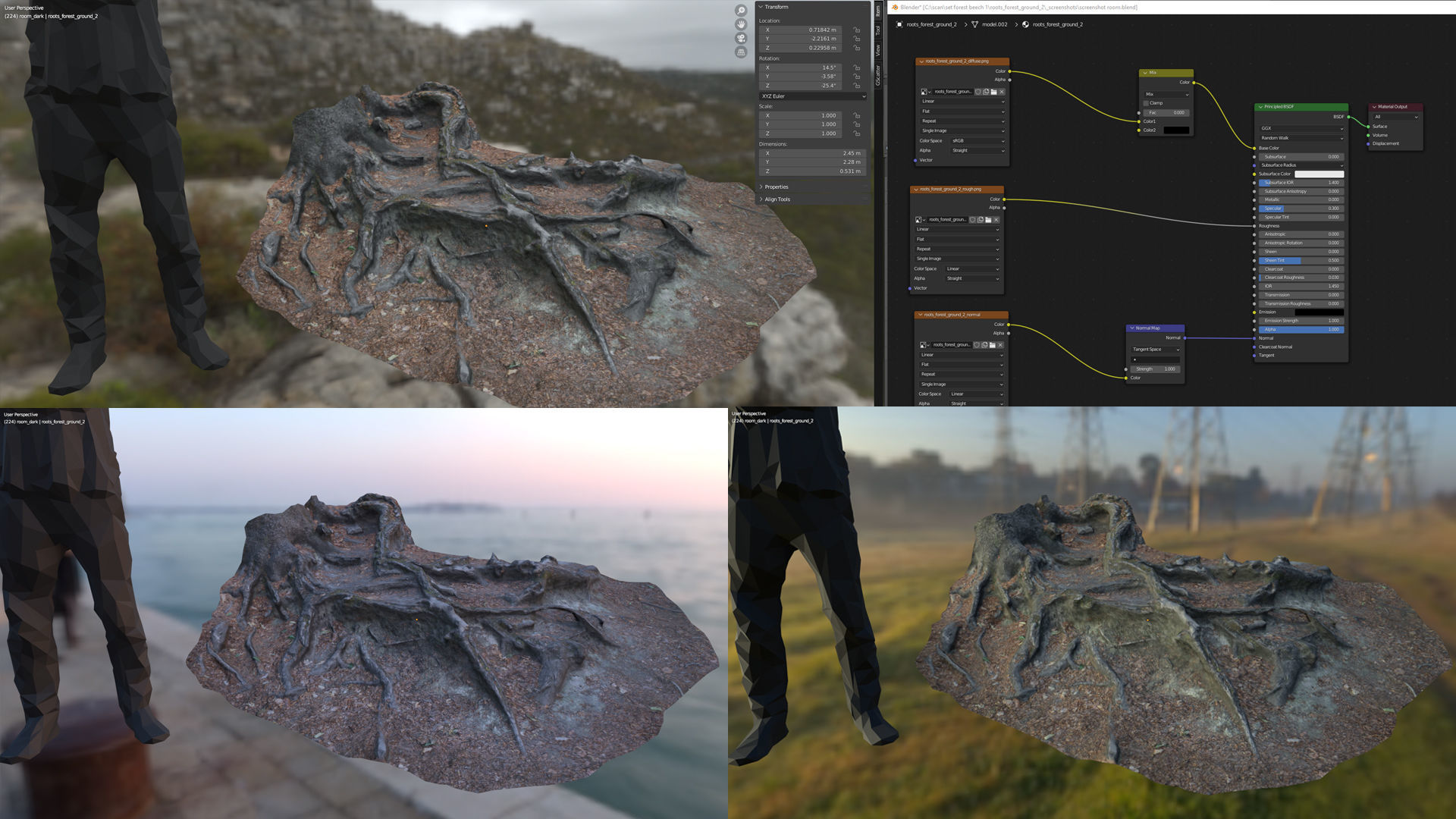 Beech forest ground - 3 of 6 - scan PBR Game ready free VR / AR / low ...