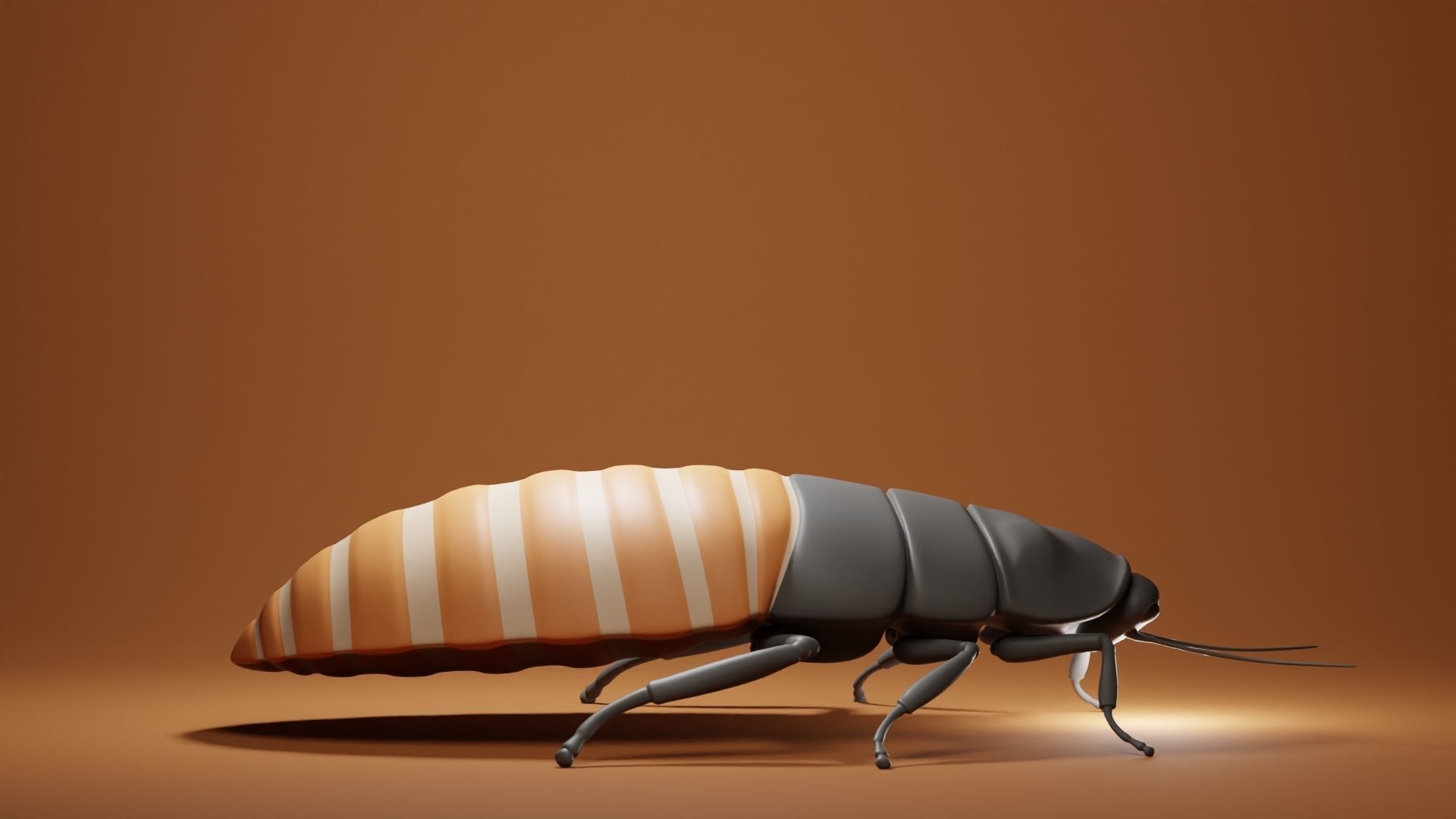 3D model Cockroach Base Mesh VR / AR / low-poly | CGTrader