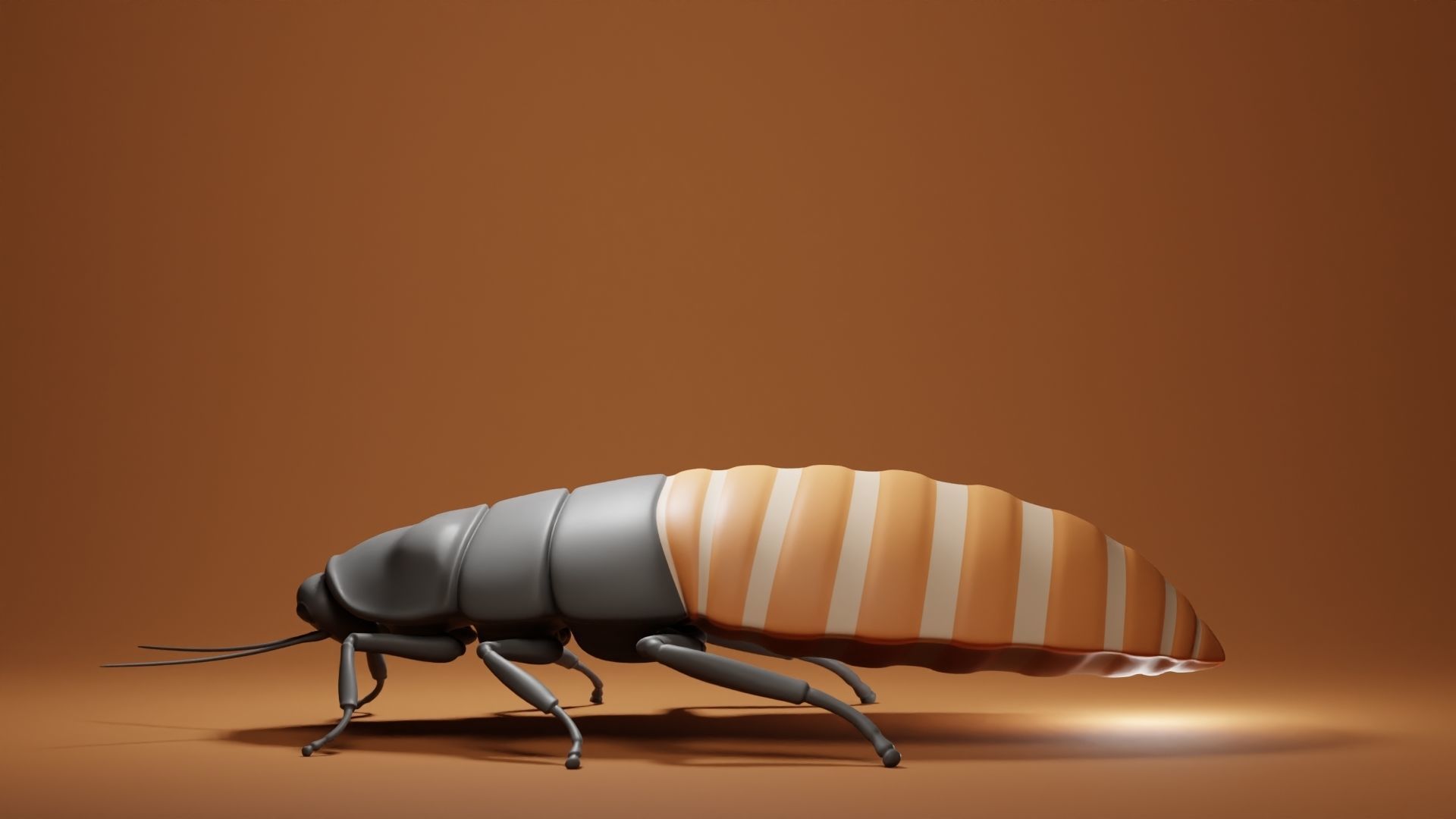 3D model Cockroach Base Mesh VR / AR / low-poly | CGTrader