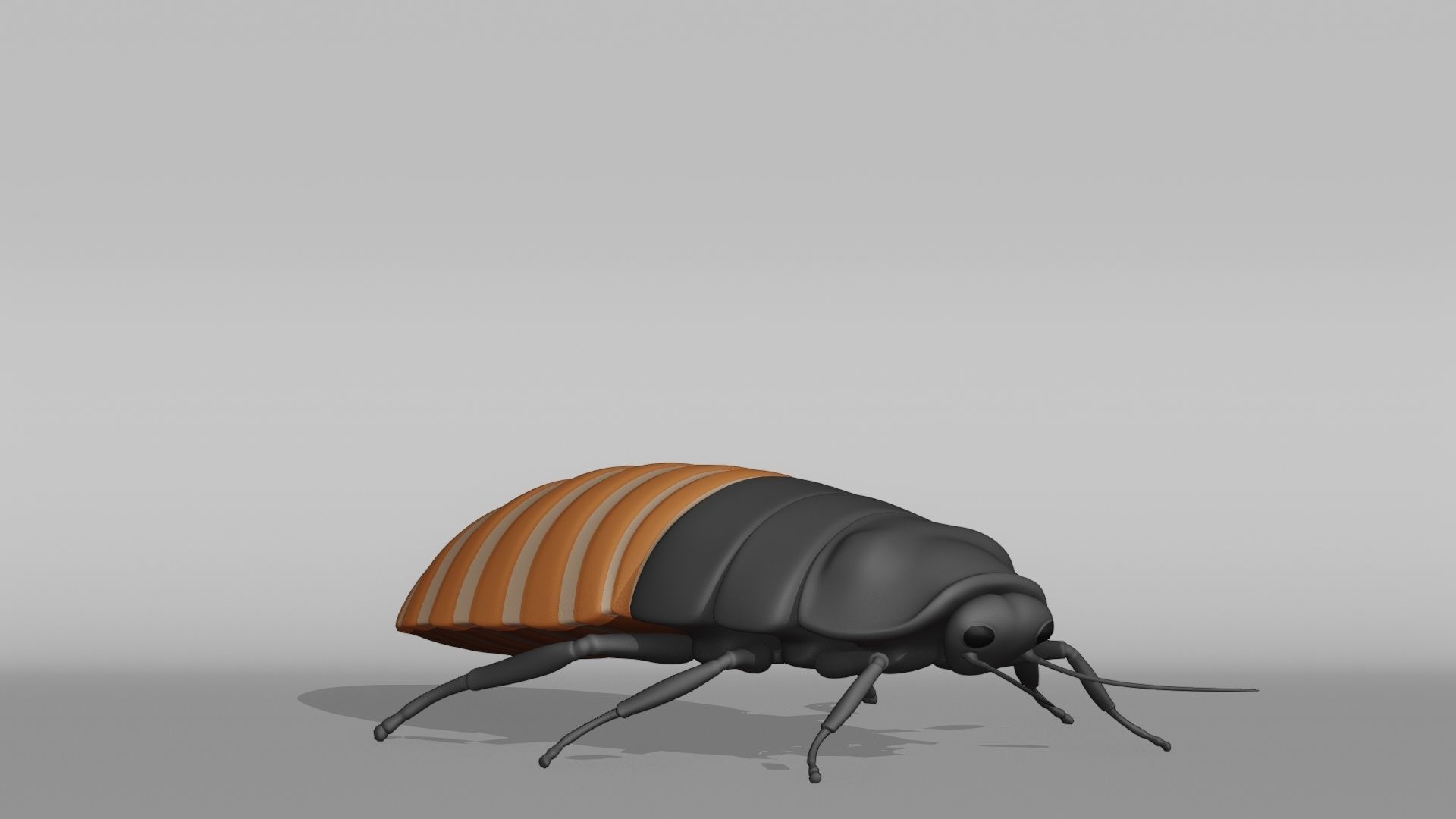 3D model Cockroach Base Mesh VR / AR / low-poly | CGTrader