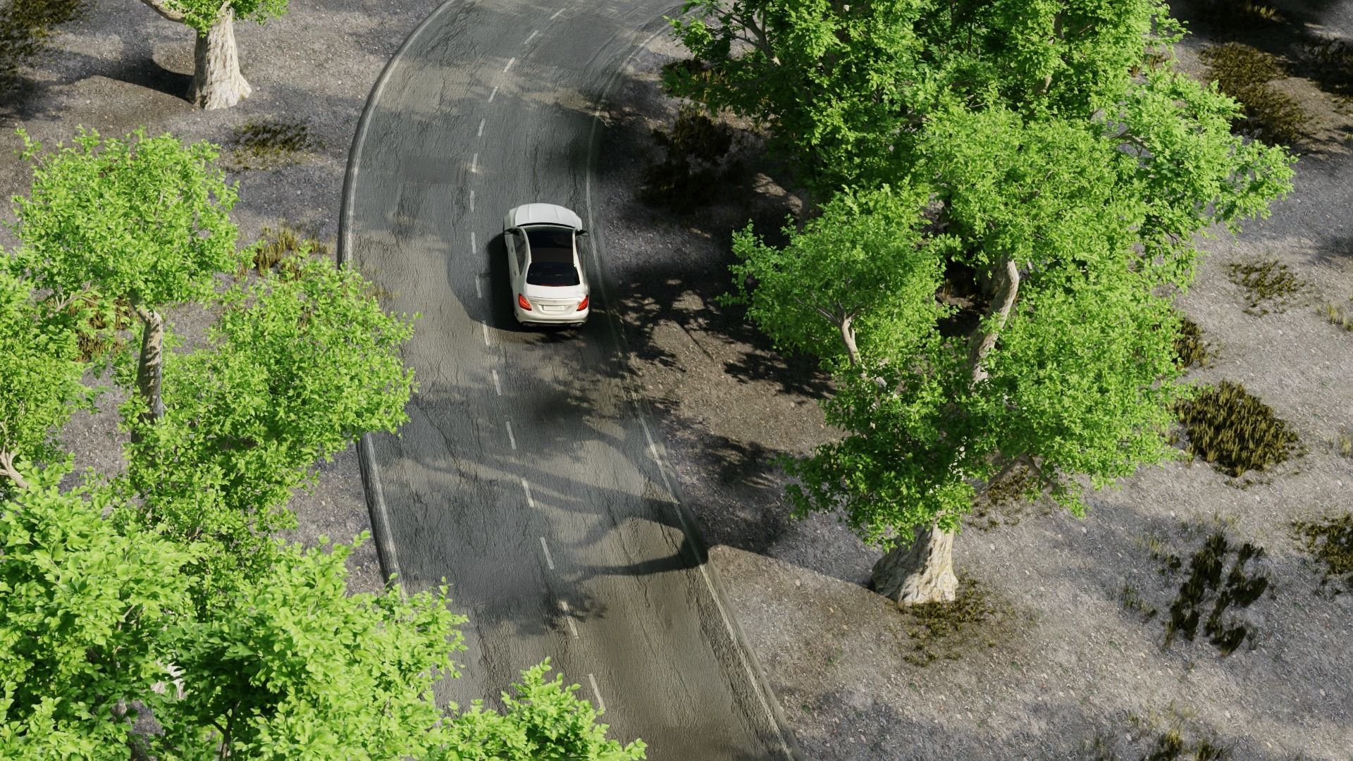 Forest animation scene 3D model animated rigged | CGTrader