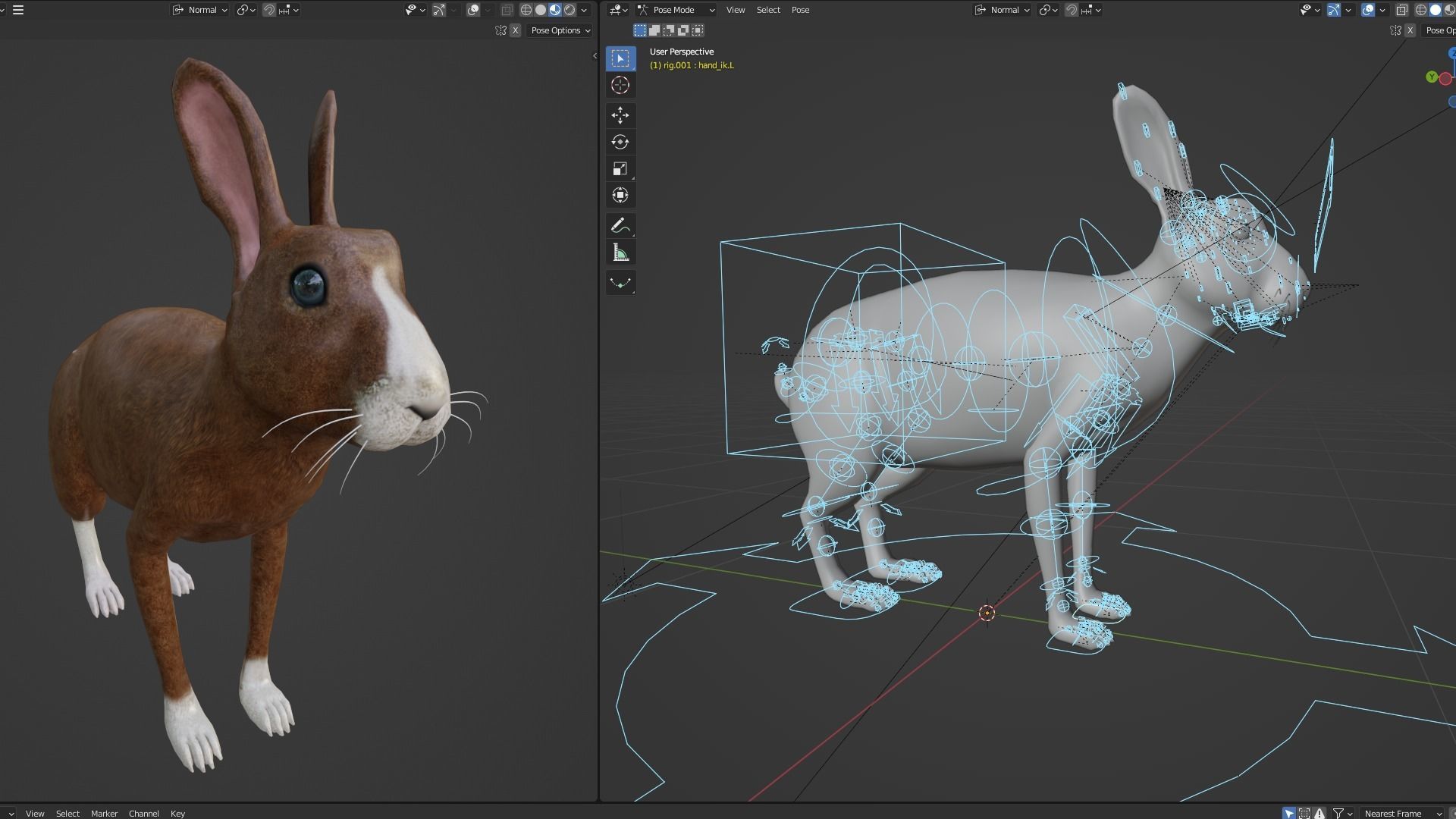 3D model rabbit VR / AR / low-poly | CGTrader