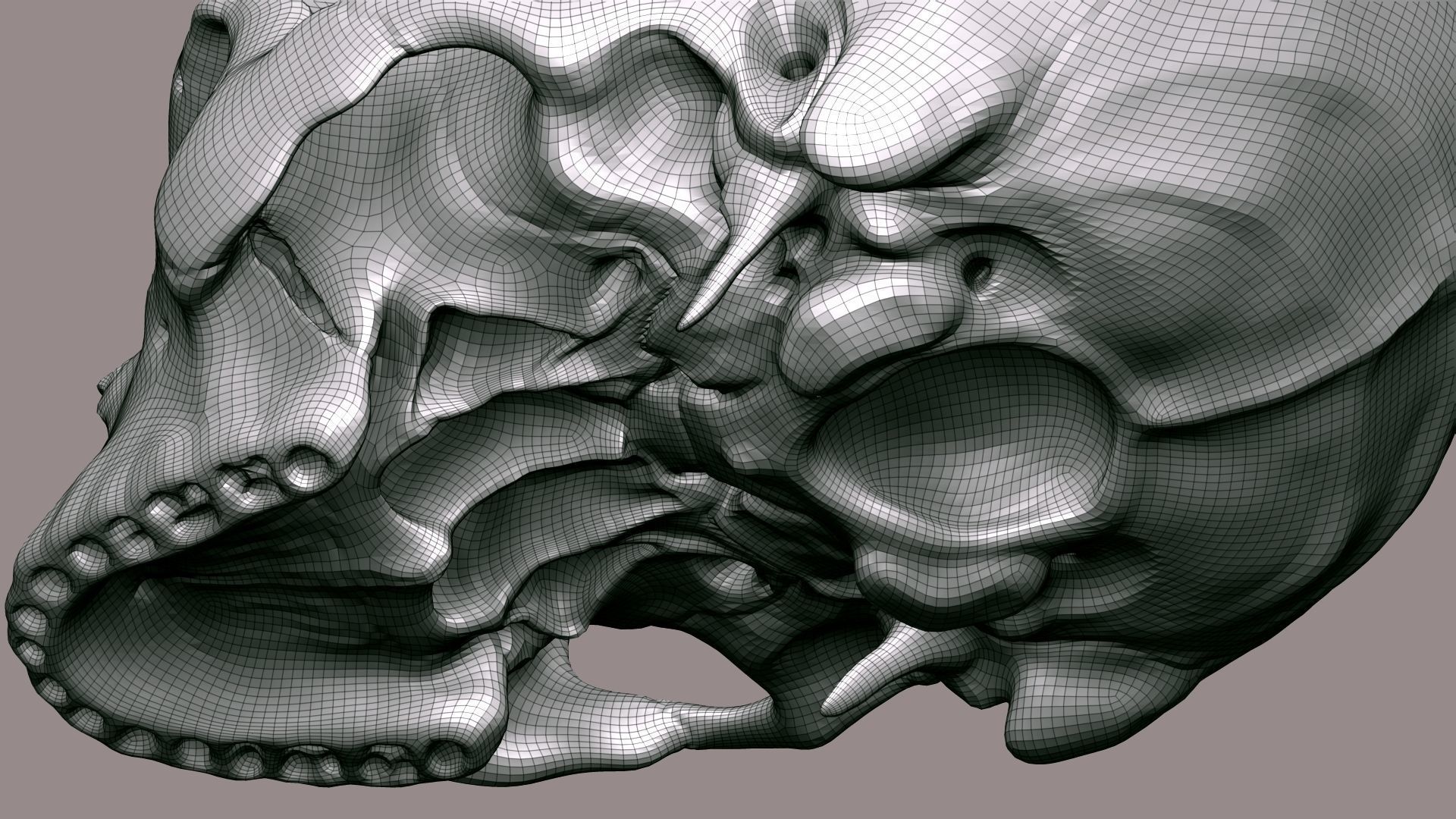 3D Detailed High Poly Human Skull 3D model | CGTrader