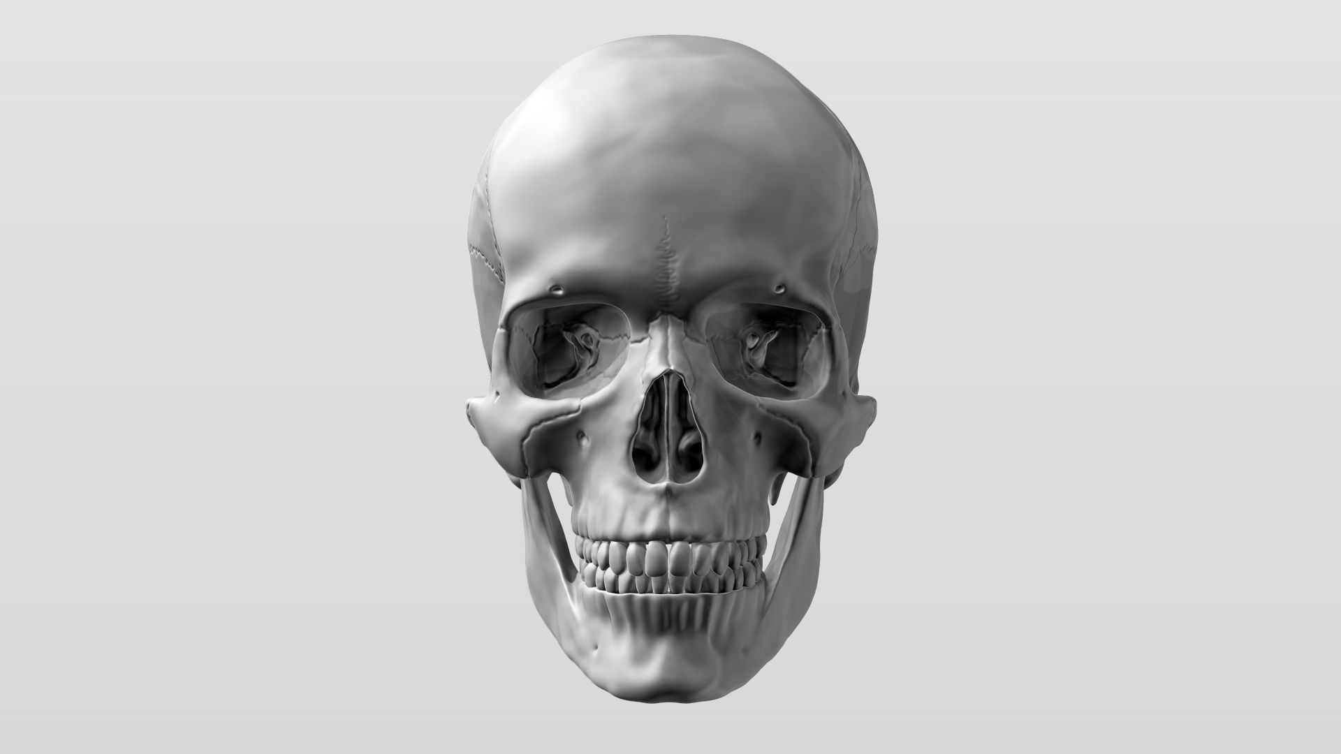 3D Detailed High Poly Human Skull 3D model | CGTrader