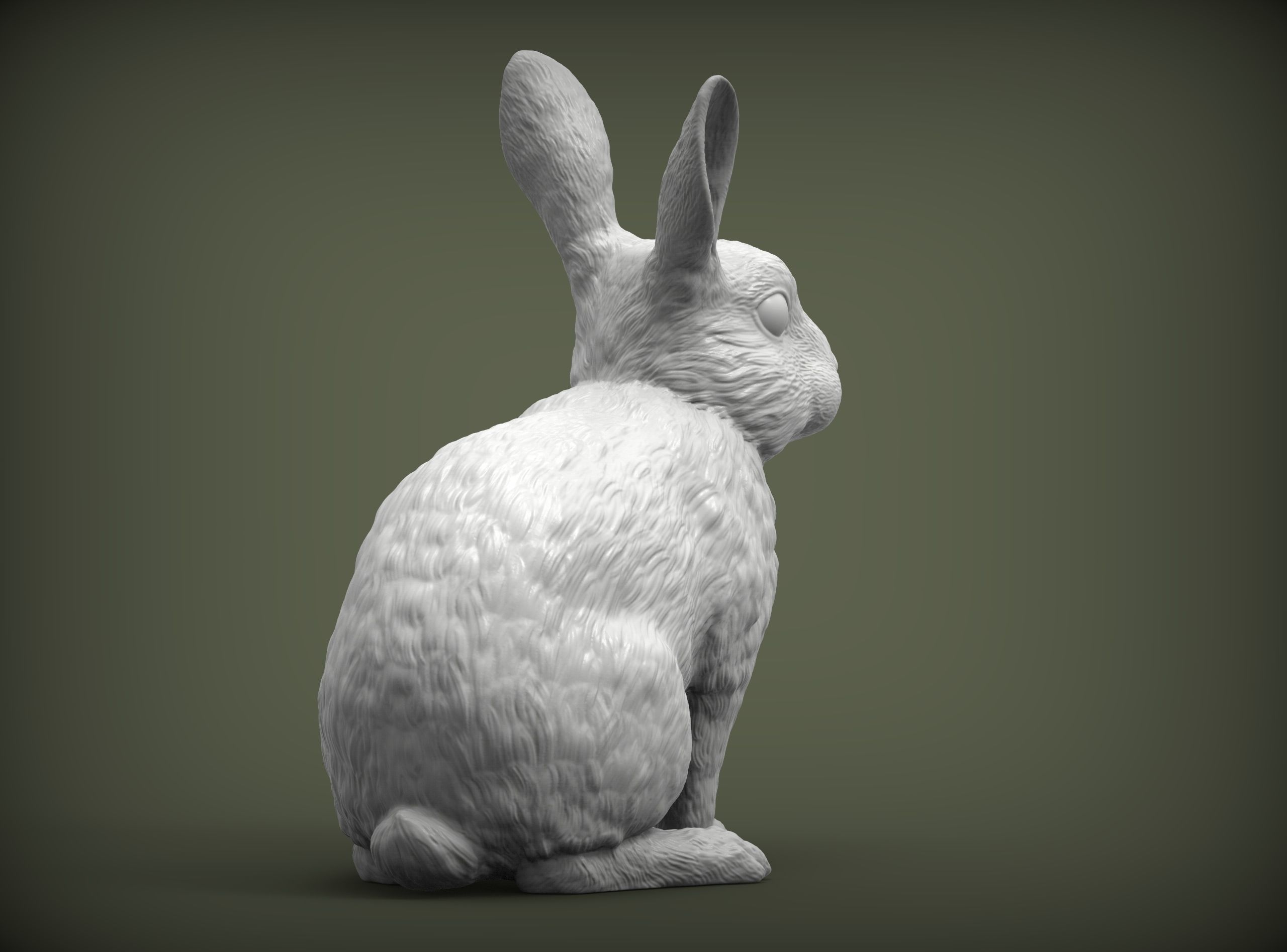 Rabbit rex agouti 3D model 3D printable | CGTrader