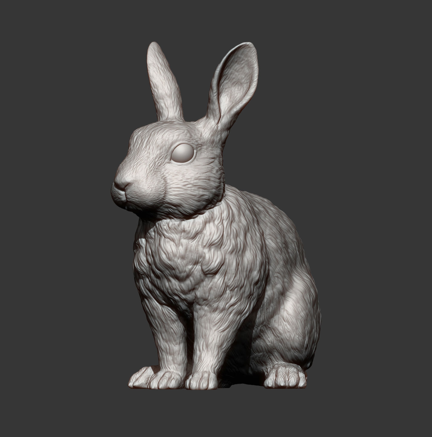 Rabbit rex agouti 3D model 3D printable | CGTrader
