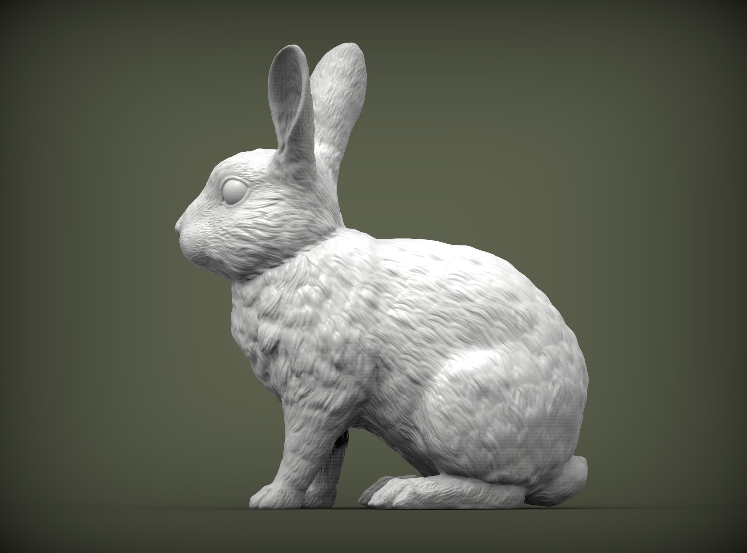 Rabbit rex agouti 3D model 3D printable | CGTrader