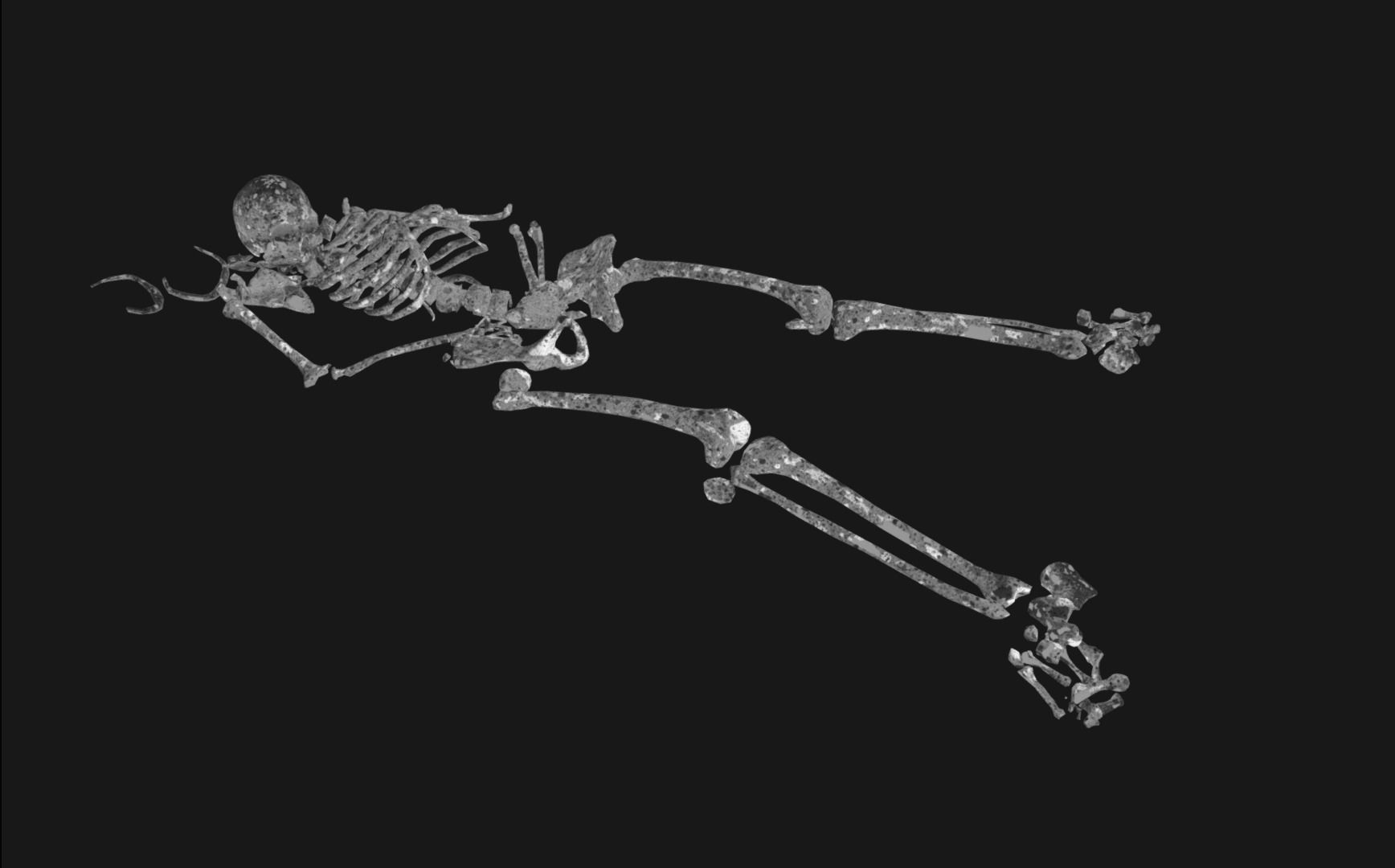 3D model Skull Bones Remains Skeleton Laying corpse VR / AR / low-poly ...