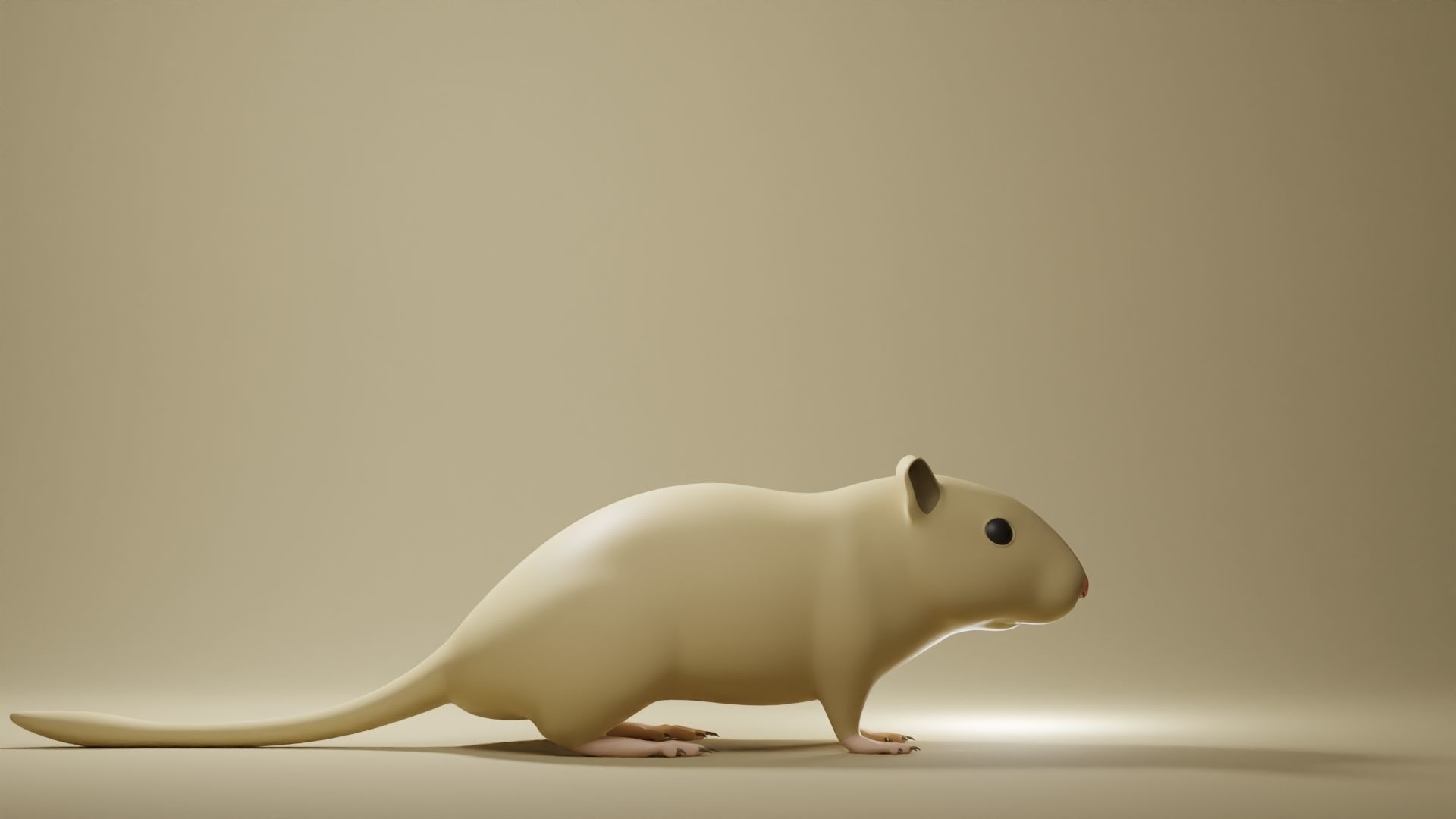 3D model Gerbil Base Mesh VR / AR / low-poly | CGTrader