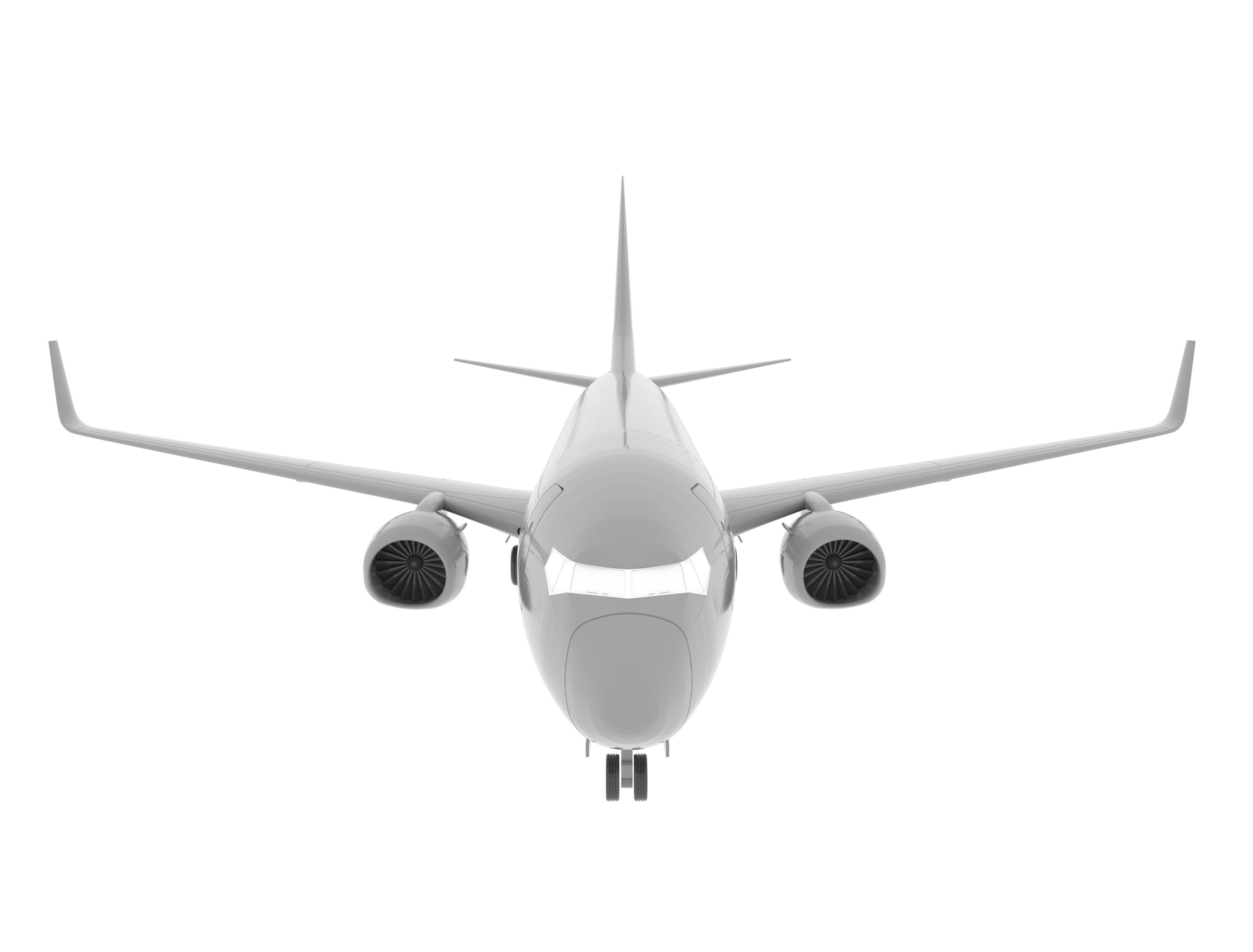 Boeing 737-800 3D model 3D printable | CGTrader