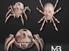 Cyclops Skull Spider 3D model 3D printable | CGTrader