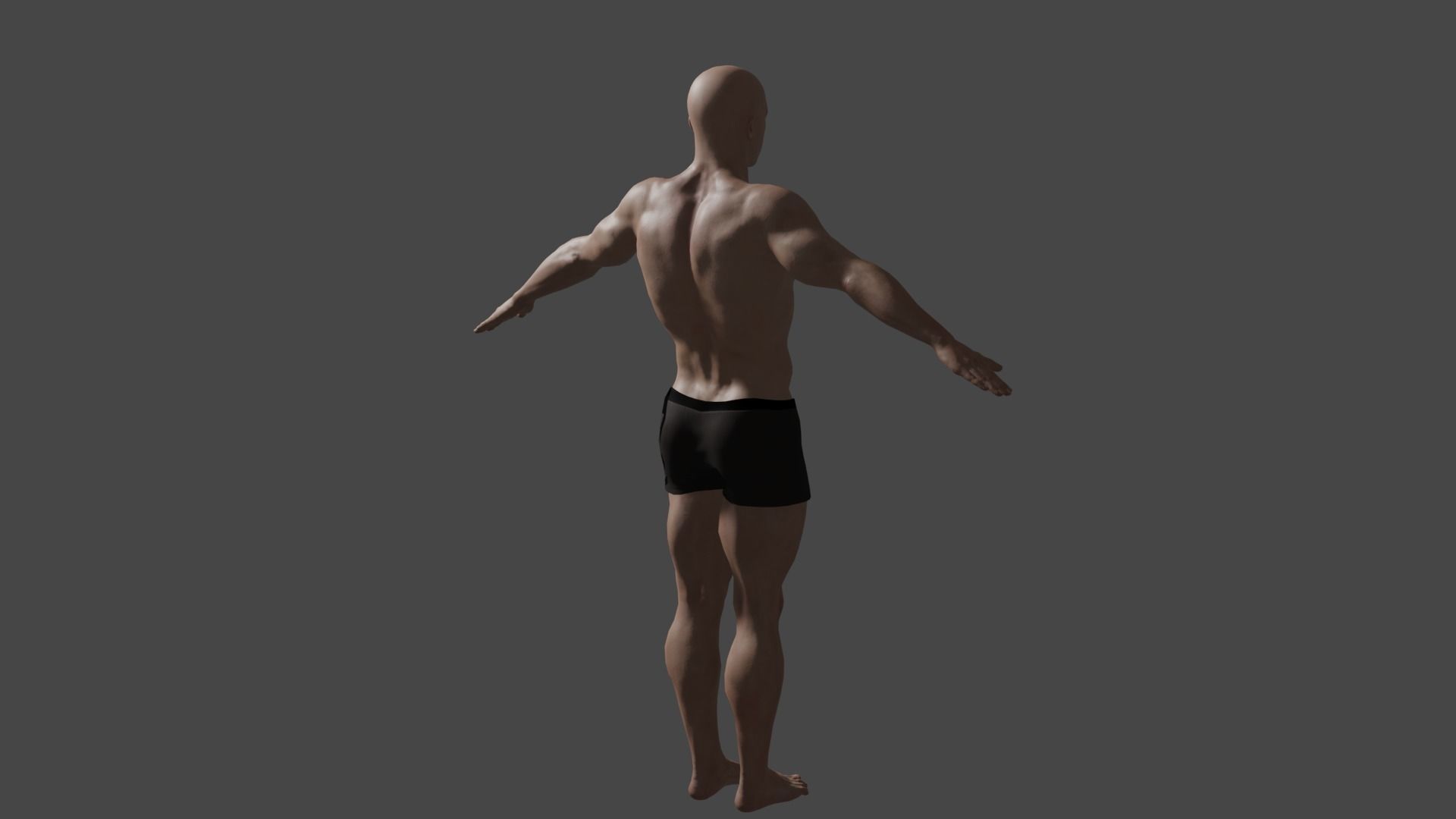 Male base mesh model with textures 3D model rigged | CGTrader