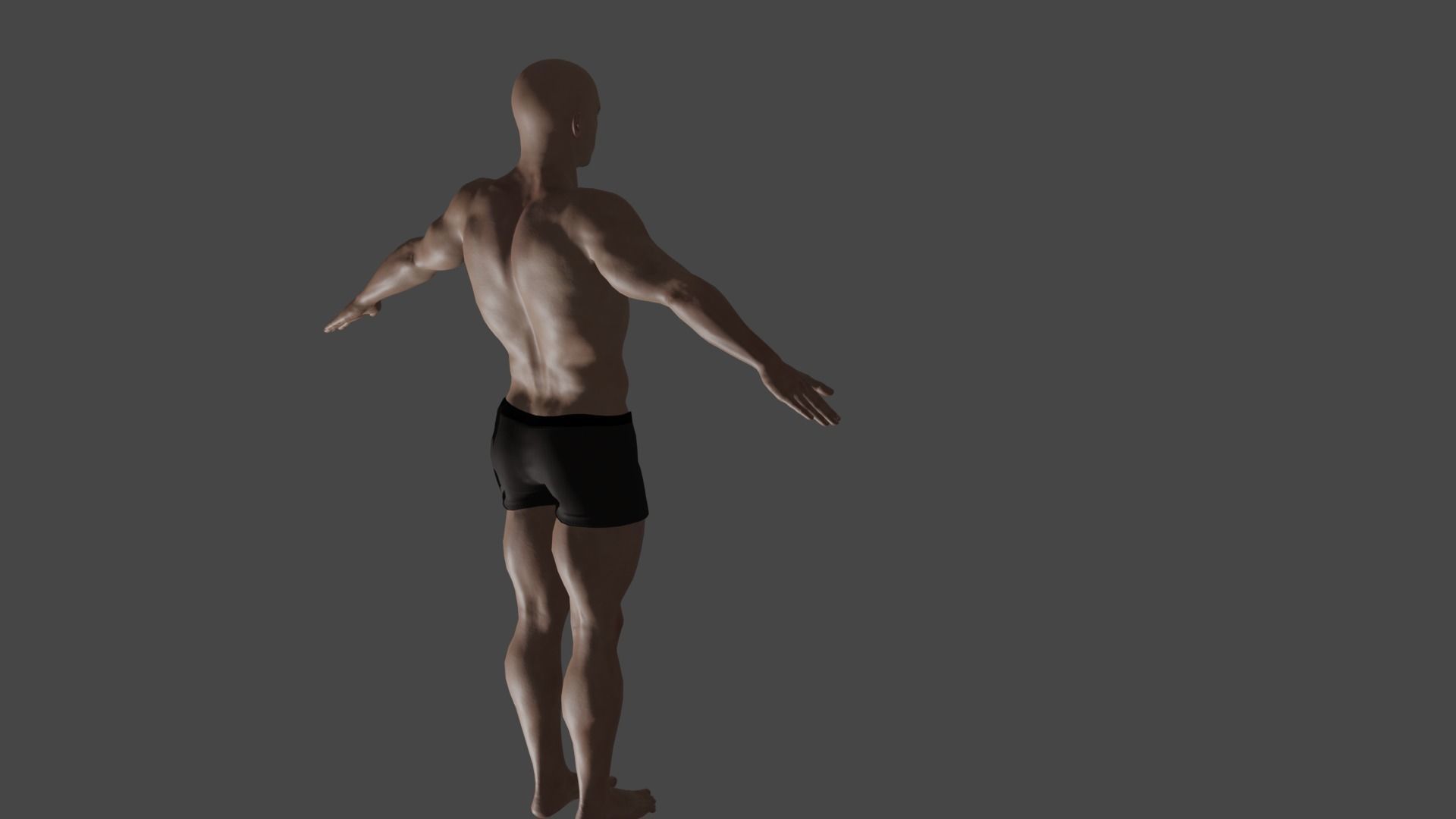 Male base mesh model with textures 3D model rigged | CGTrader