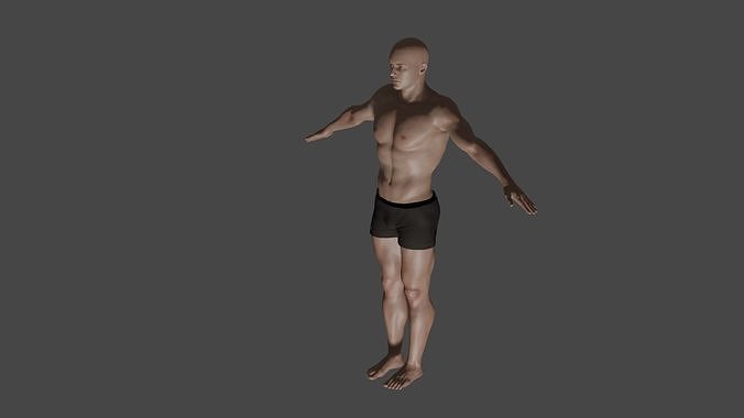 Male base mesh model with textures 3D model rigged | CGTrader