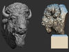 Bison bust 3D model 3D printable | CGTrader