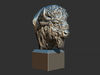 Bison bust 3D model 3D printable | CGTrader