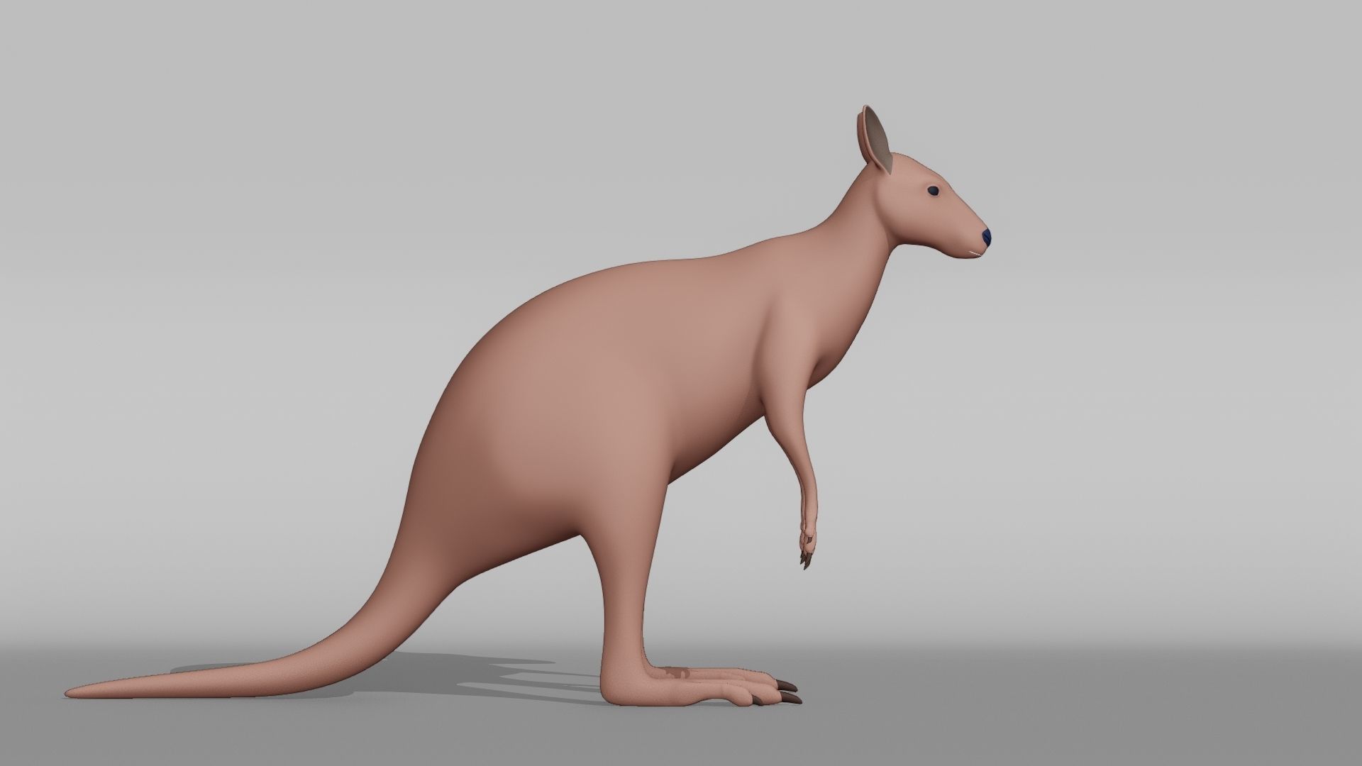 3D model Kangaroo Base Mesh VR / AR / low-poly | CGTrader
