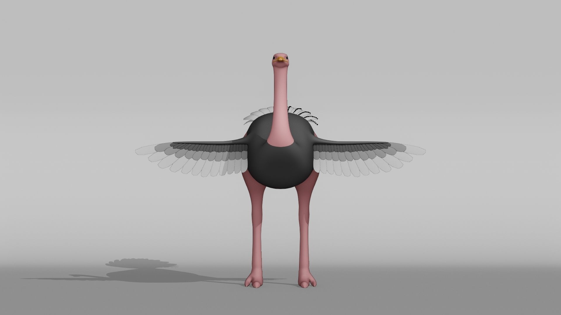 3D model Ostrich Base Mesh VR / AR / low-poly | CGTrader