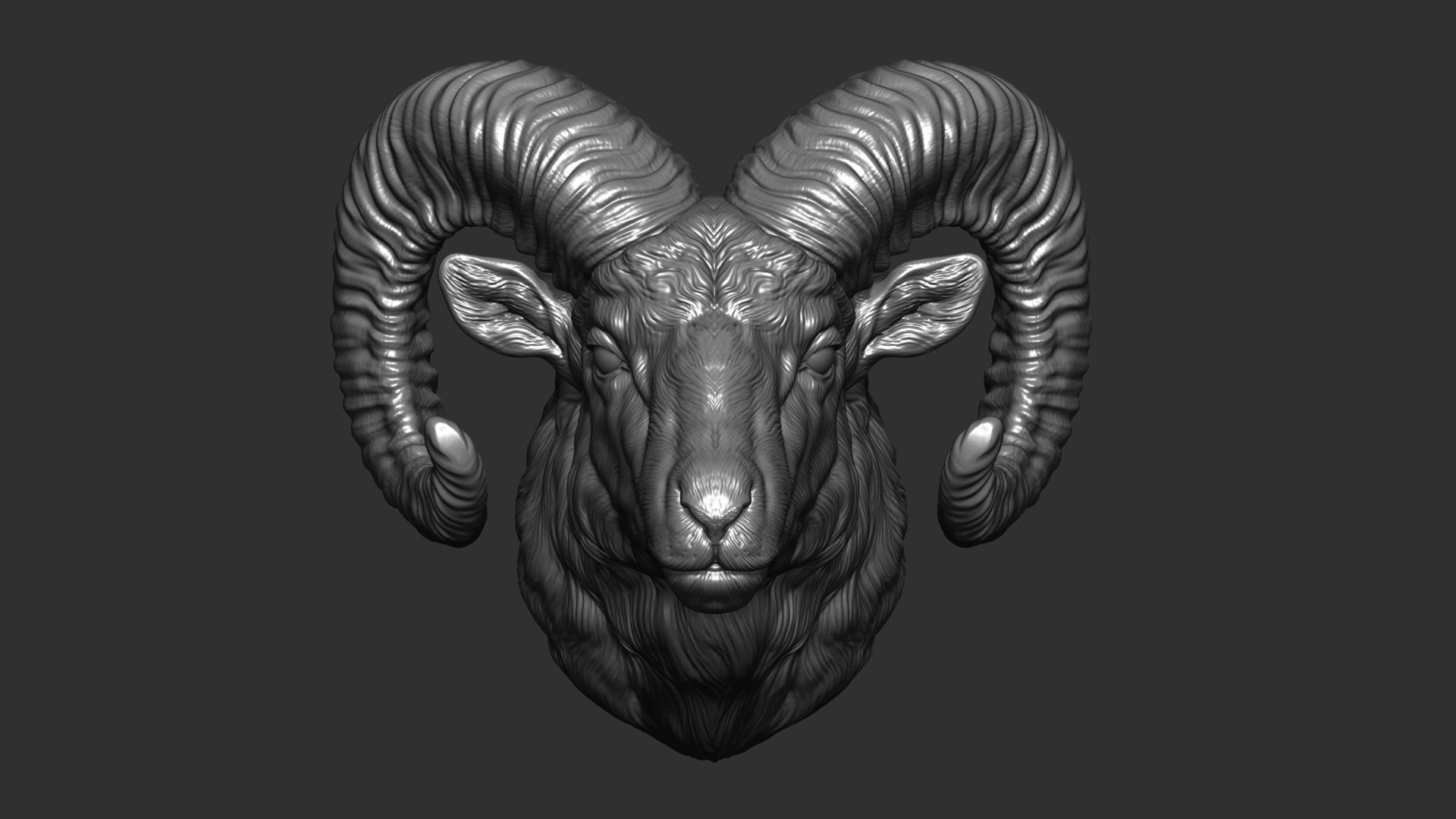 Big Horned Ram head 3D model 3D printable | CGTrader