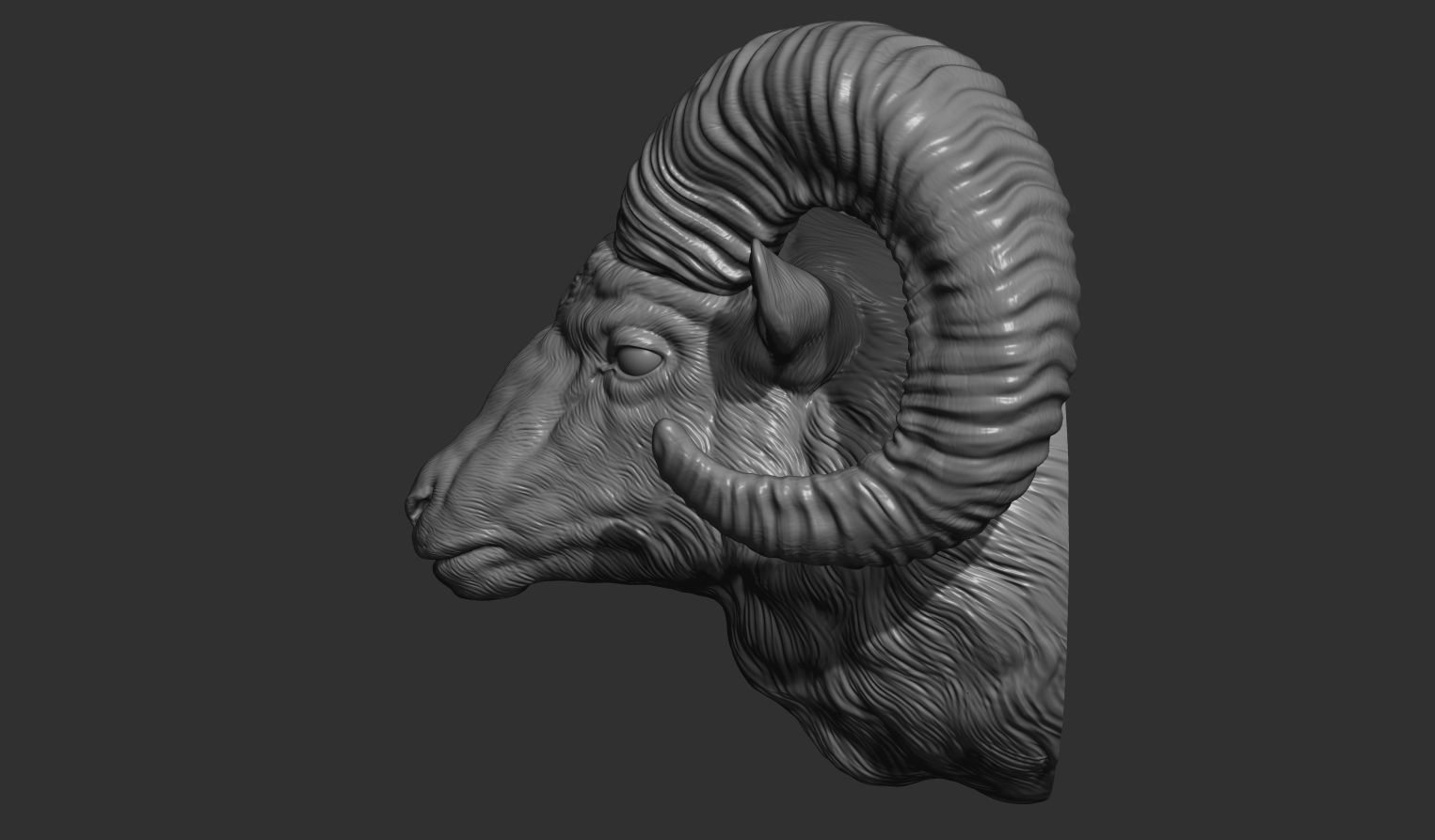 Big Horned Ram head 3D model 3D printable | CGTrader