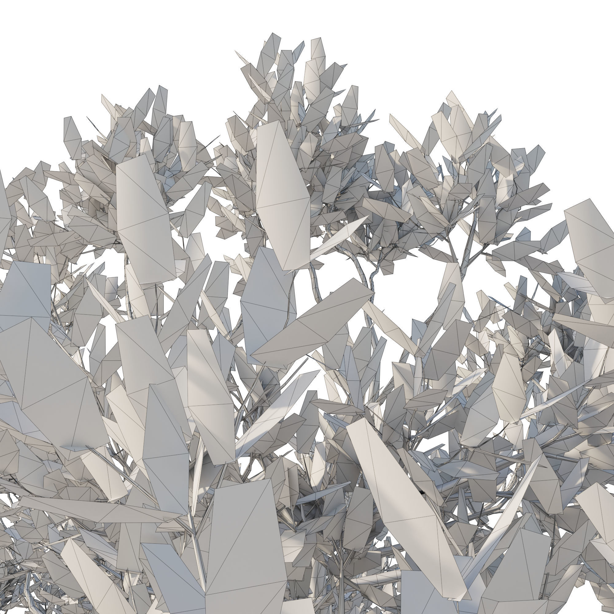 3D model Mangrove - Pidada Merah - Berembang - Sonneratia caseolaris VR ...